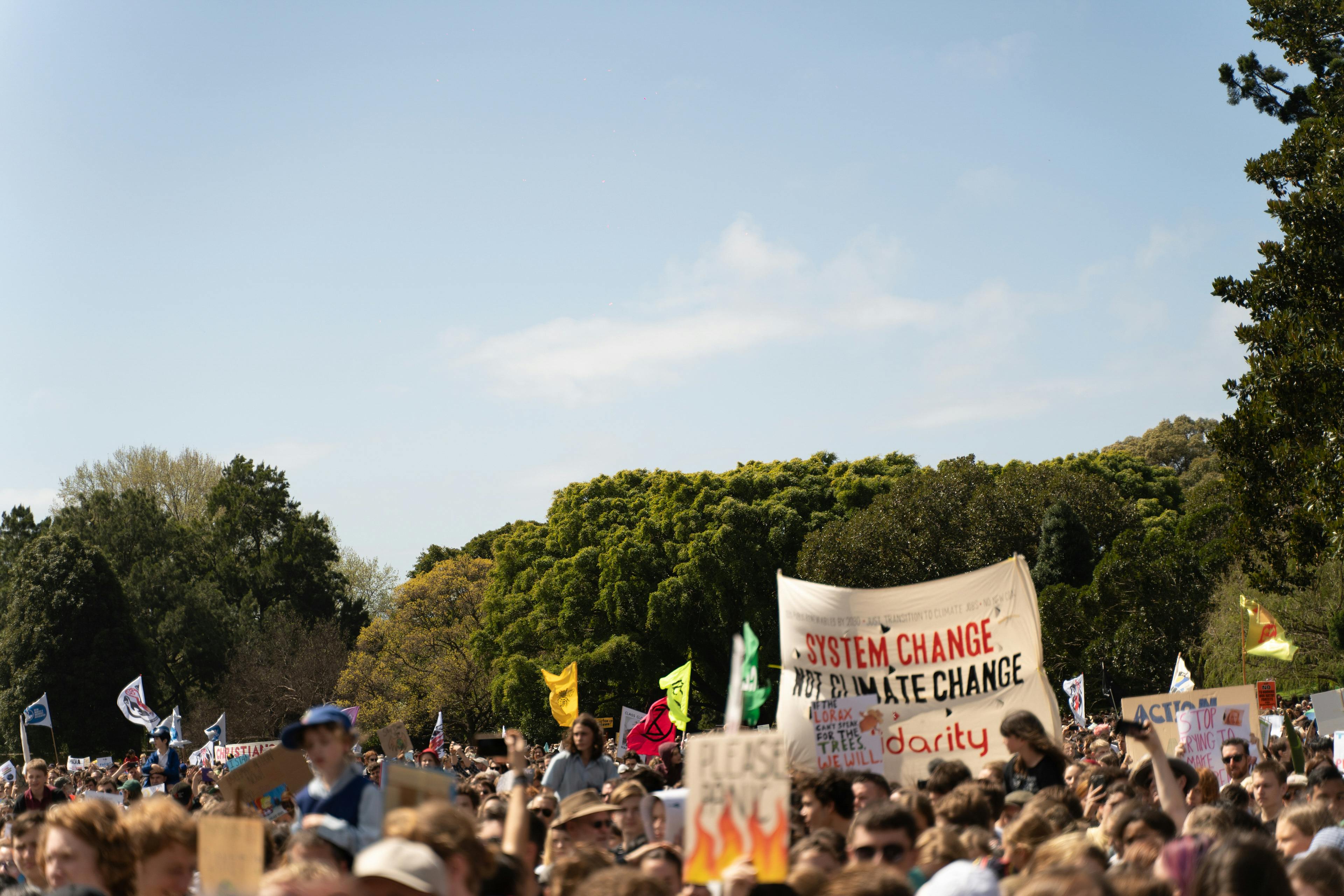 Crowd of People Marching on a Rally · Free Stock Photo