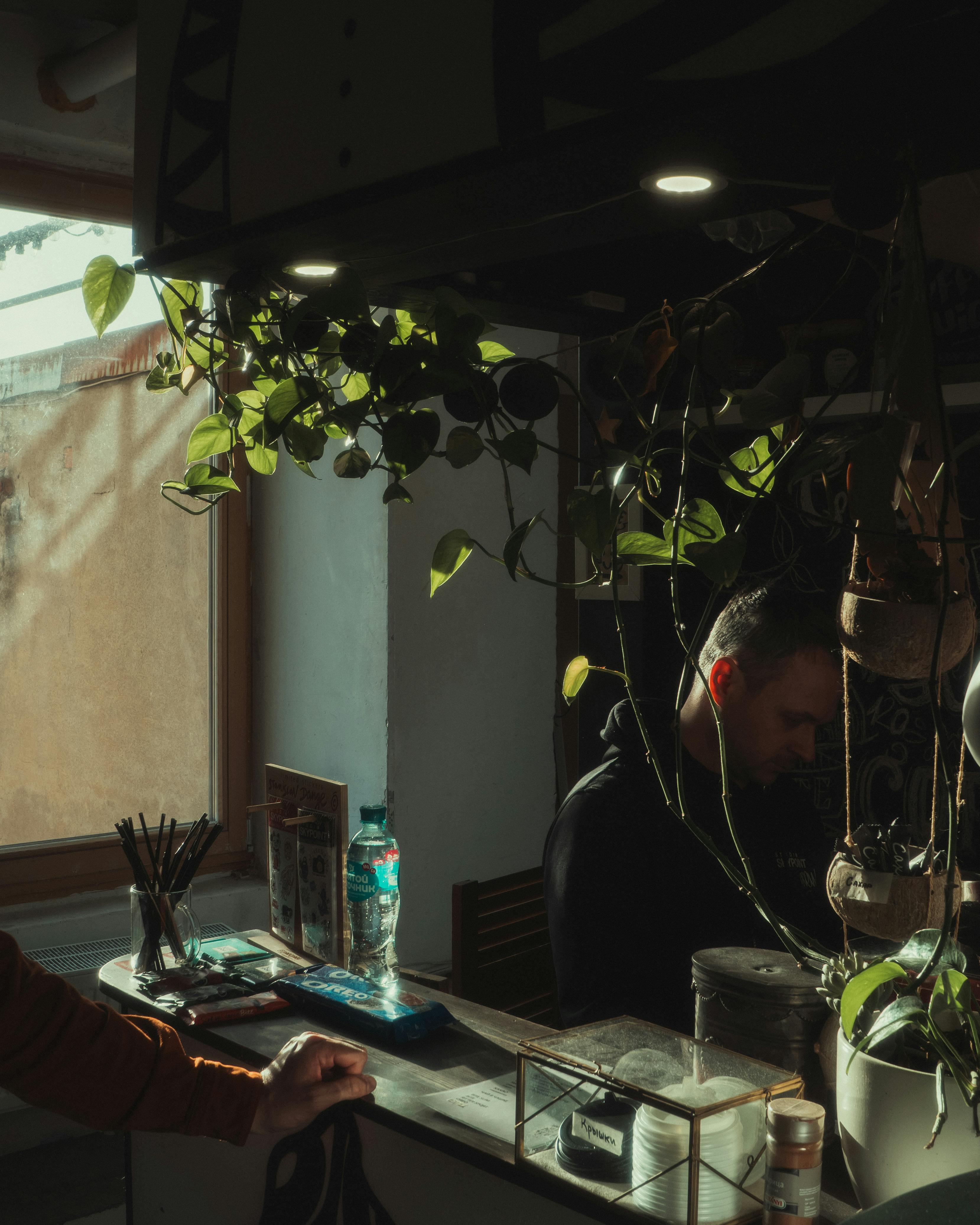 Man Sitting behind a Counter in a Cafe · Free Stock Photo