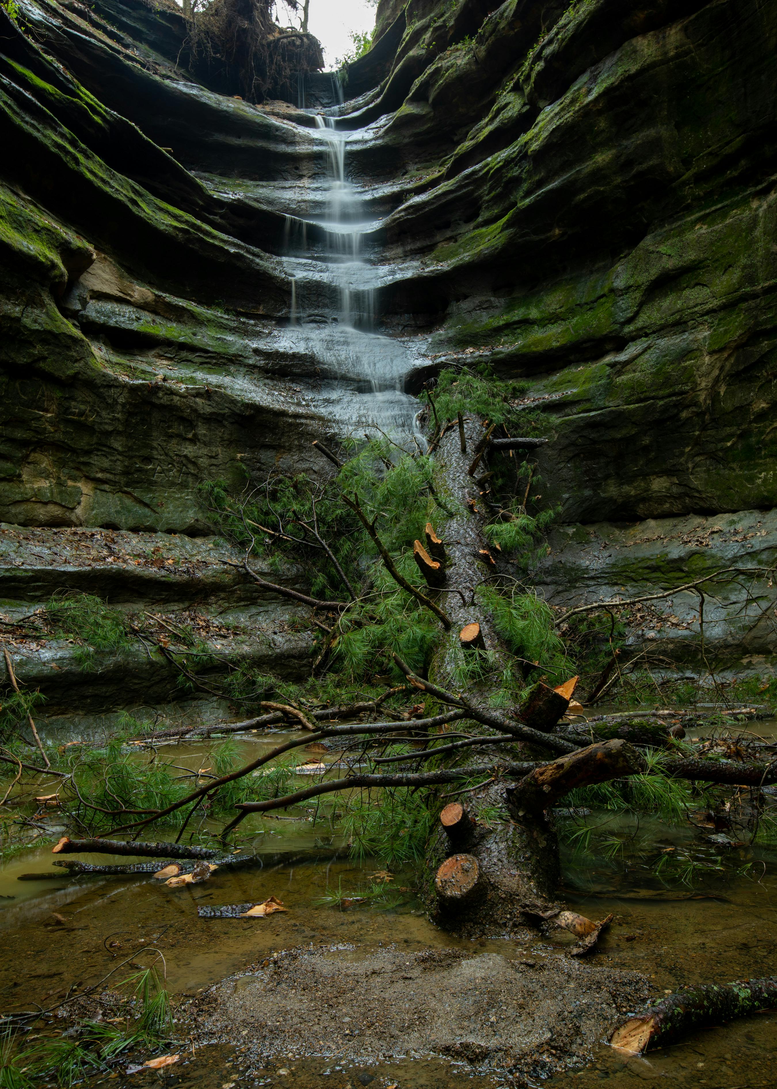 Tree Trunk Under a Waterfalls · Free Stock Photo