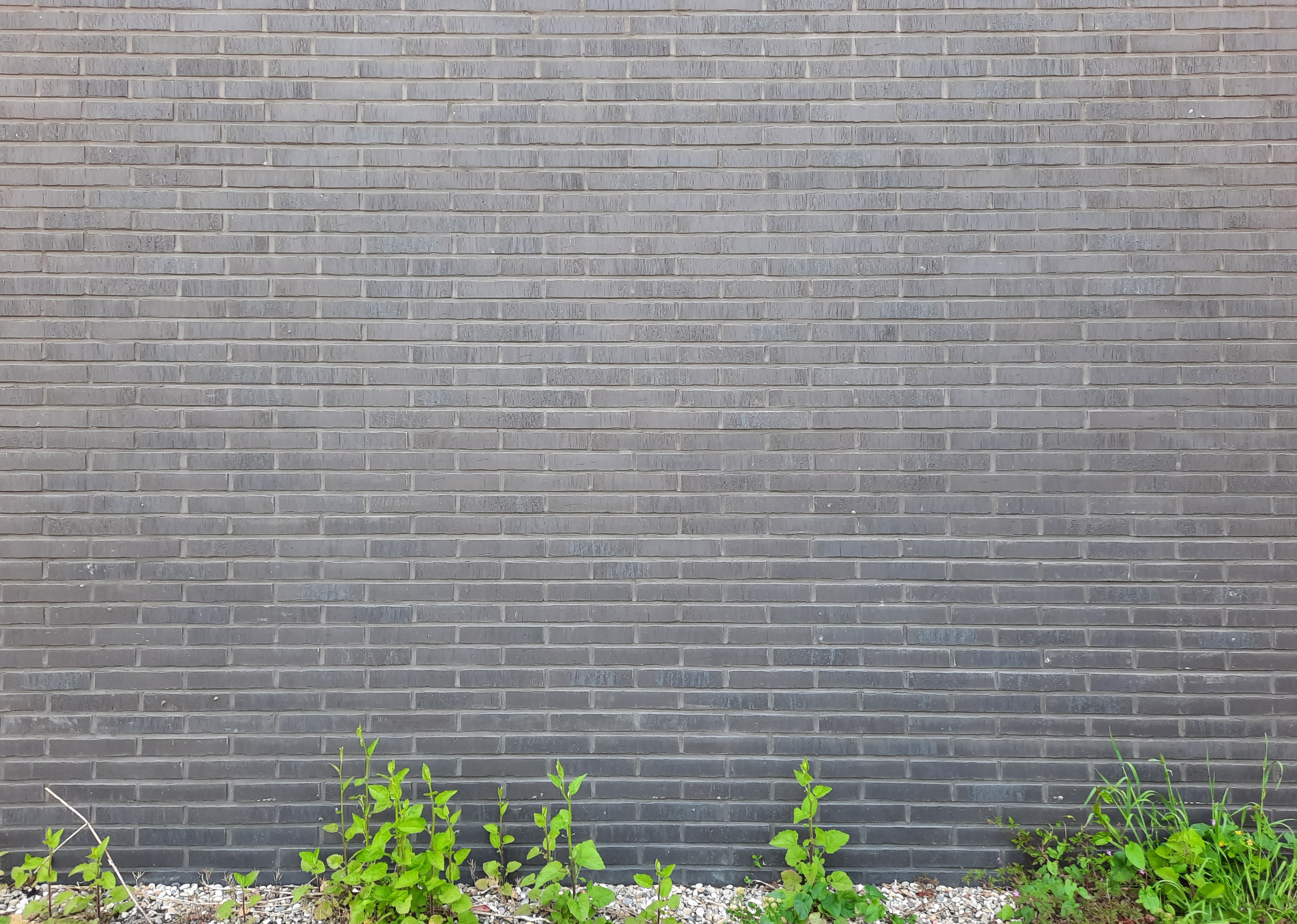 Brick Wall Texture · Free Stock Photo