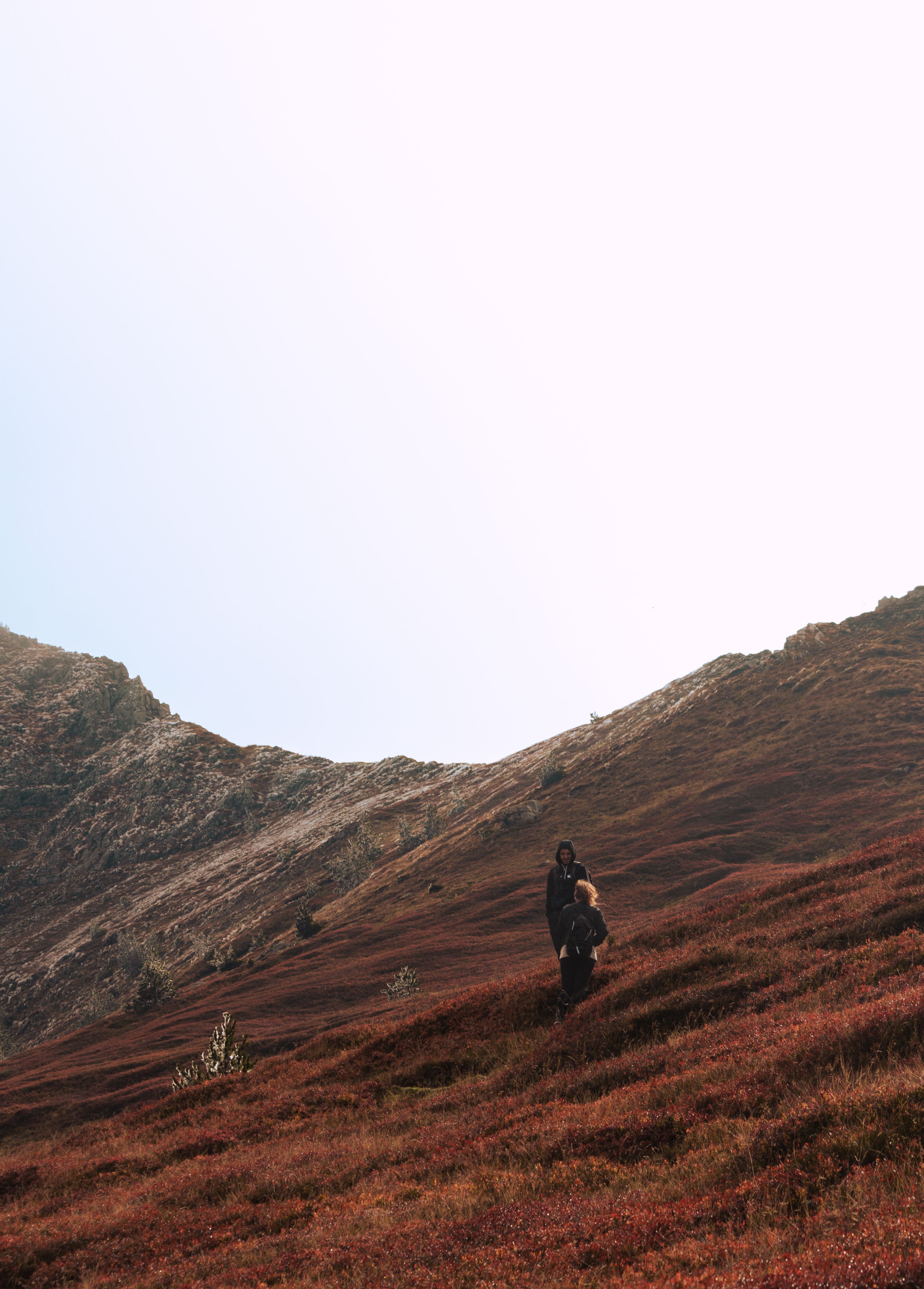 Man Walking on a Path · Free Stock Photo