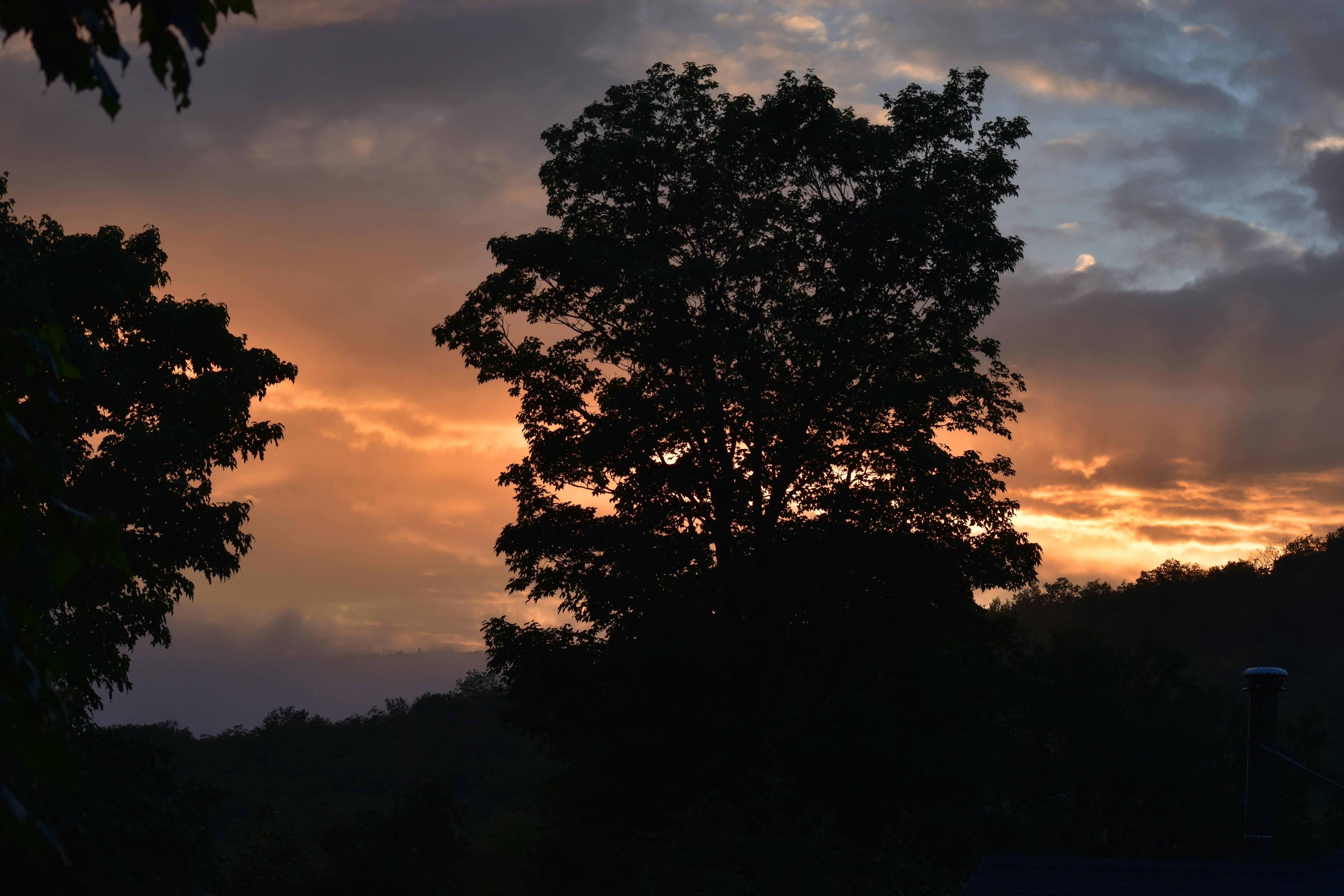 Nancy Benoit - 写真