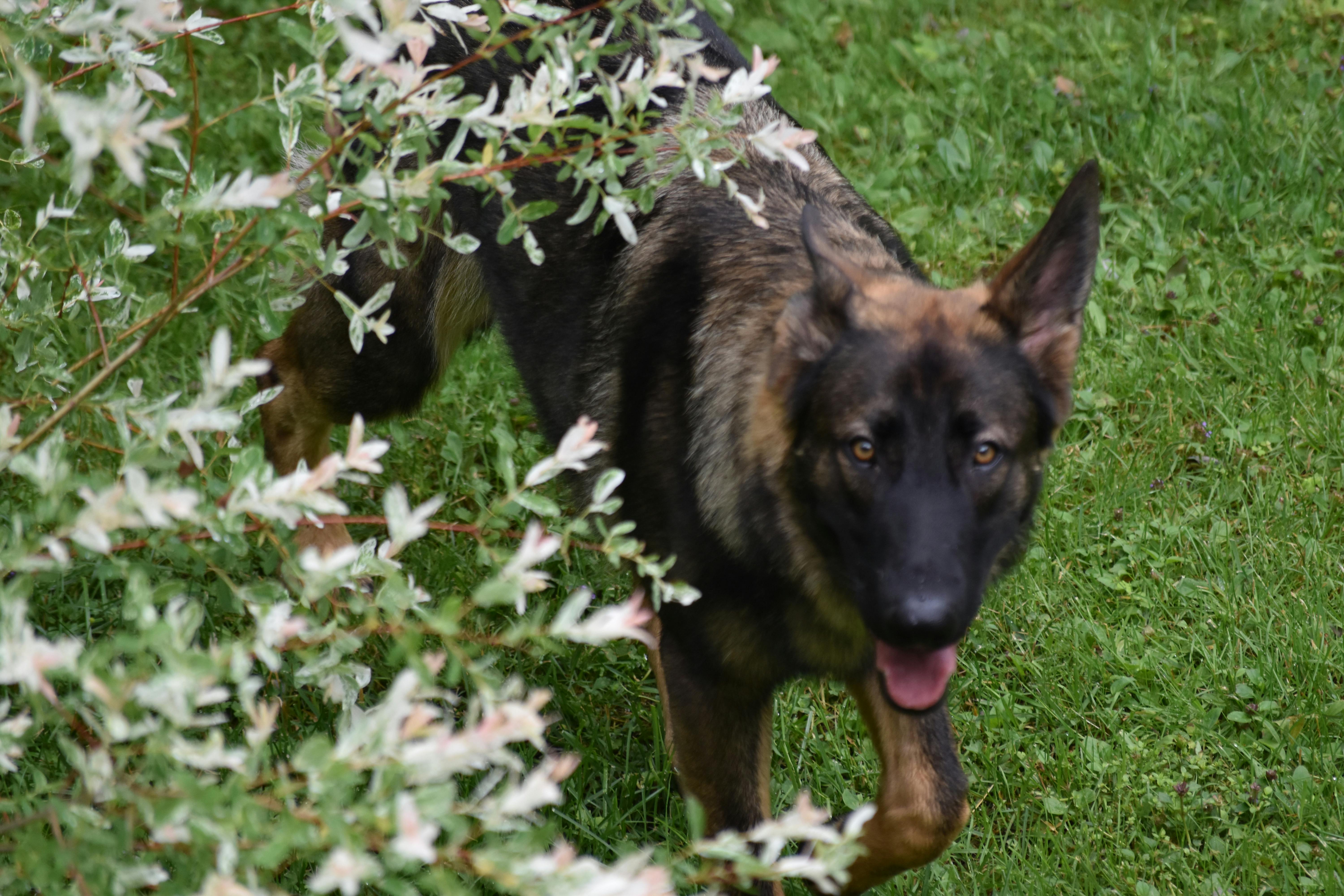 Nancy Benoit - 写真