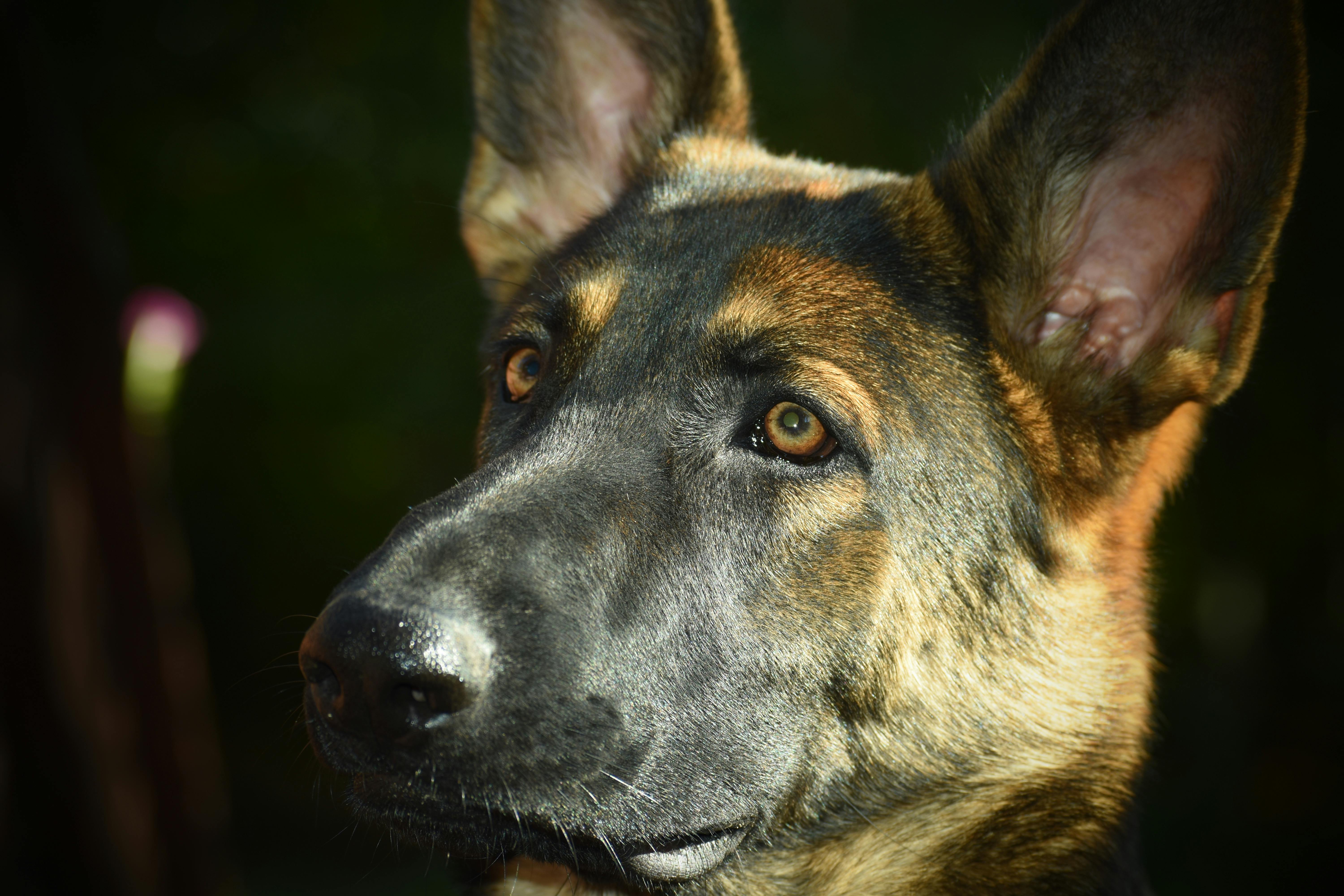 Nancy Benoit – Fotografie