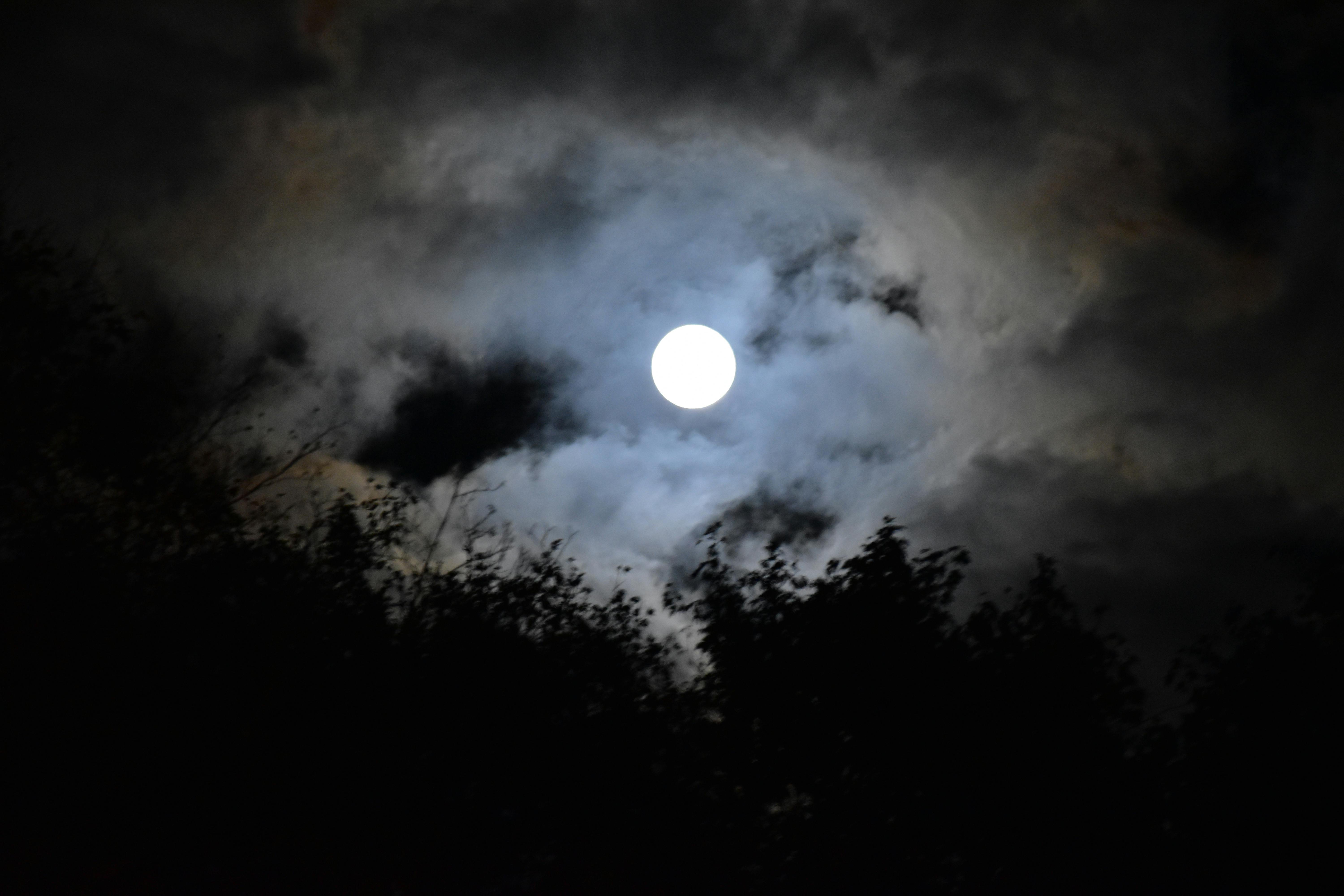 Nancy Benoit - 写真