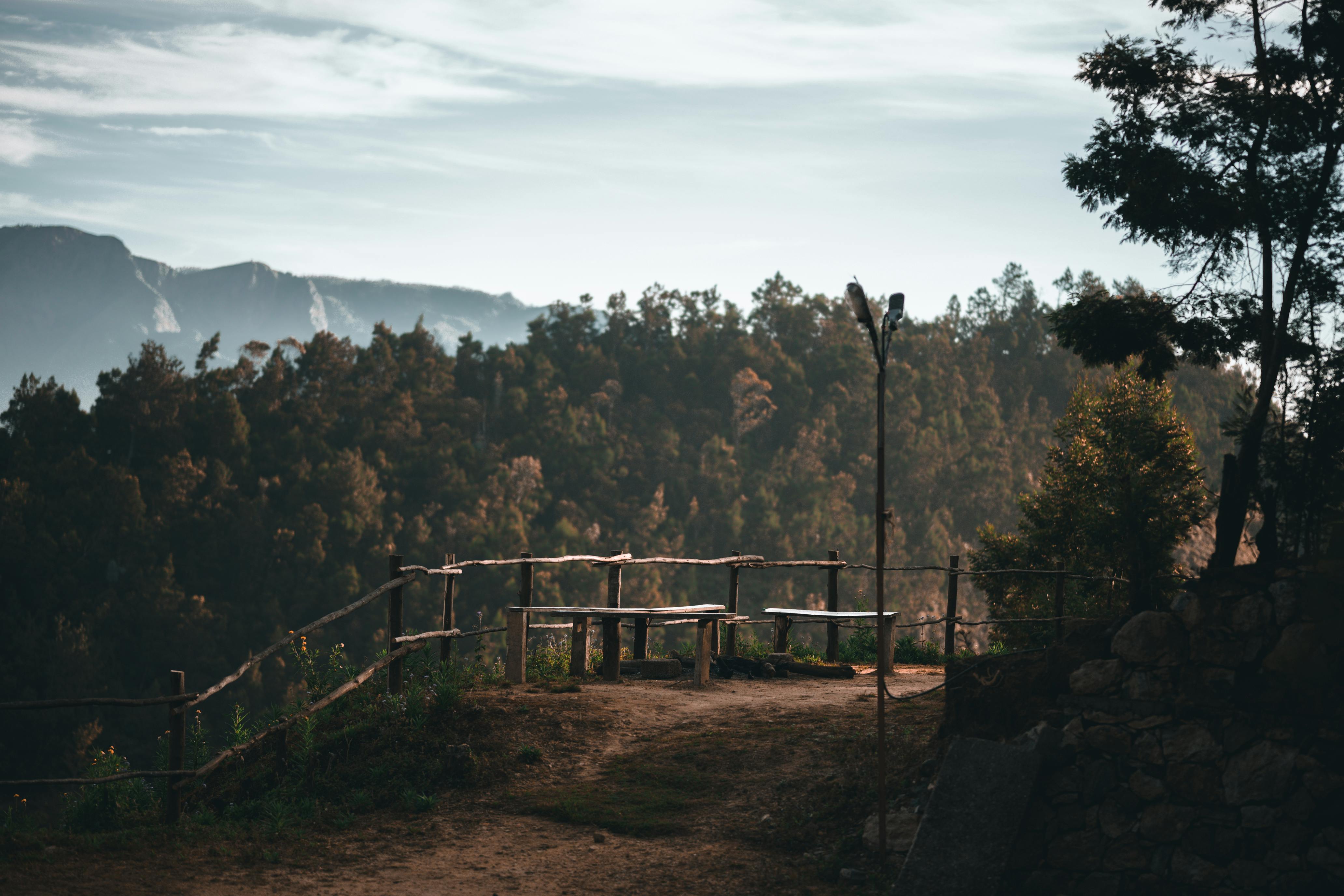 Wooden Benches at a Viewpoint · Free Stock Photo