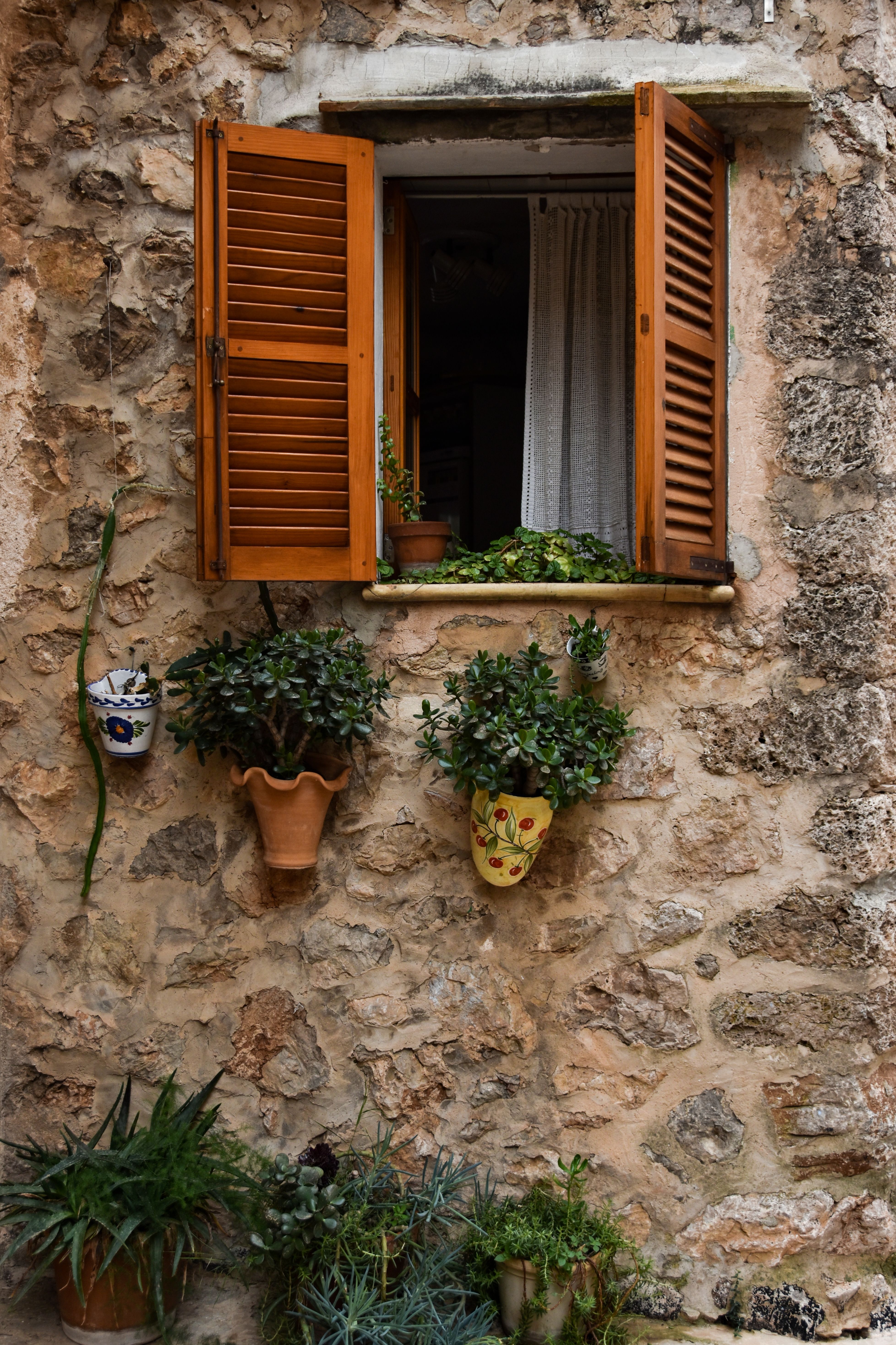 Photo of a Wooden Window with Plants · Free Stock Photo