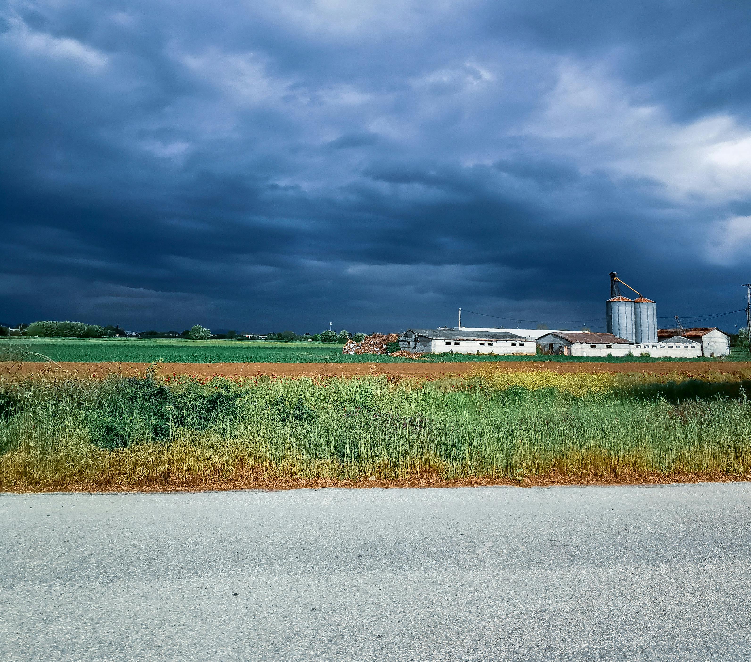 Overcast over Field · Free Stock Photo