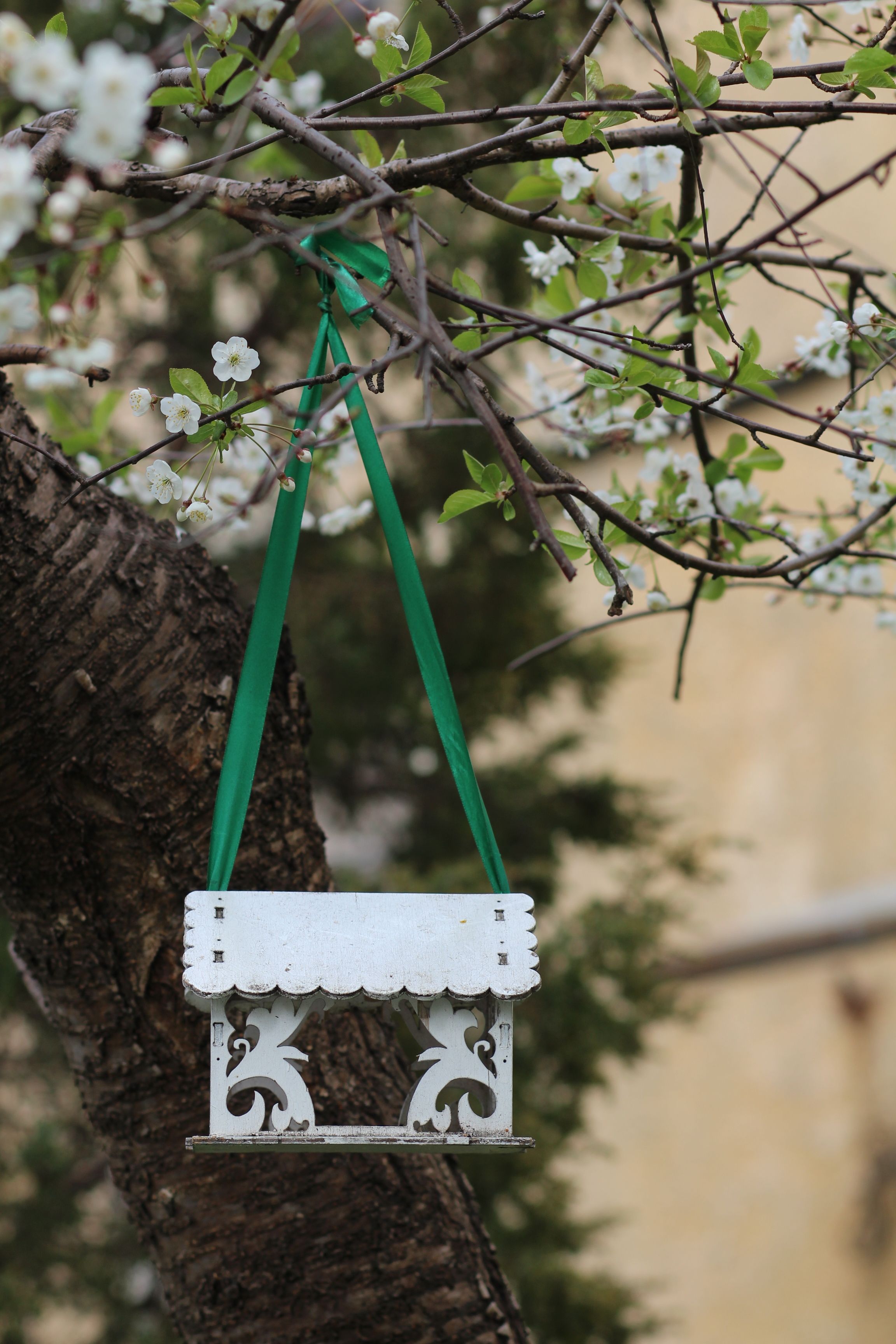 Bird Feeder on a Tree Stump · Free Stock Photo