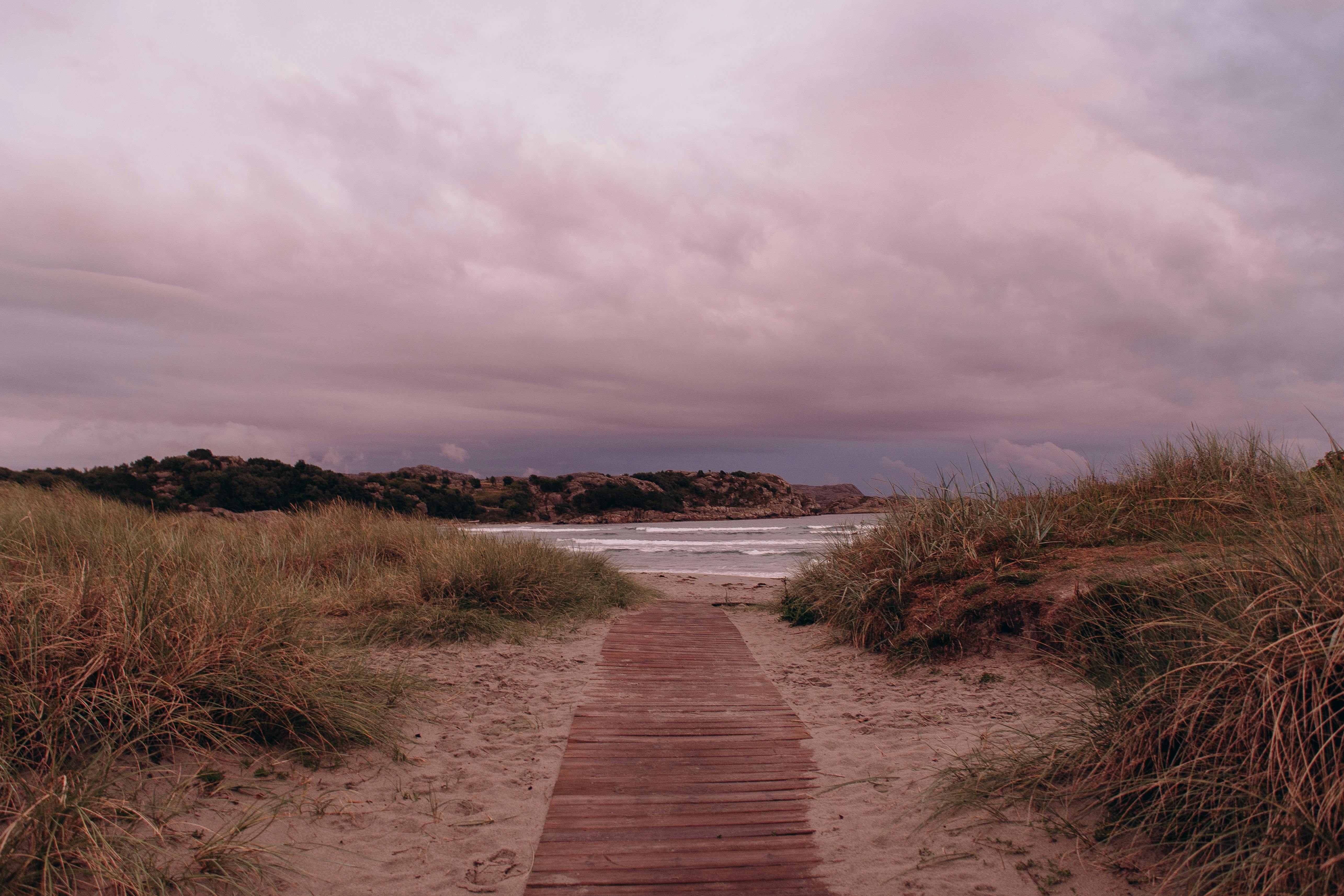 Wooden Pathway on the Beach with Grass · Free Stock Photo