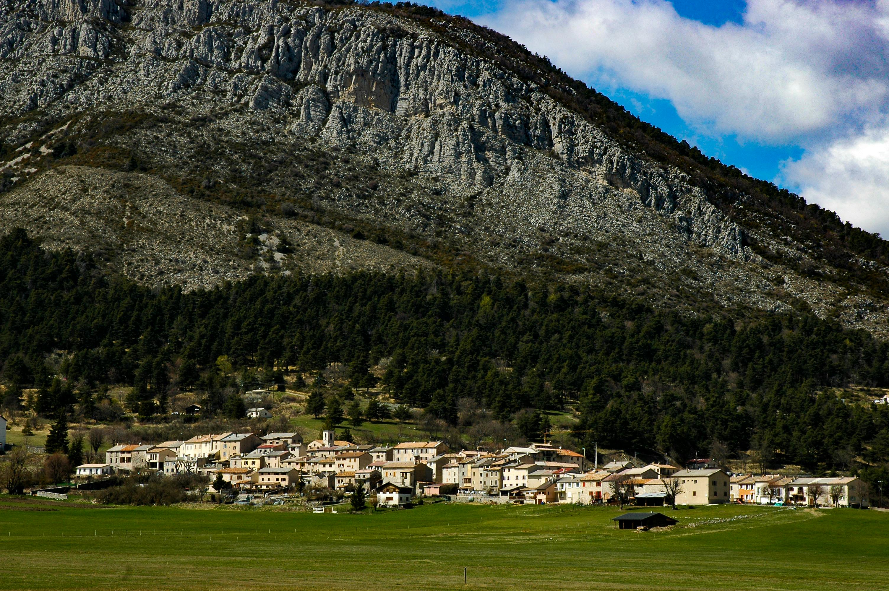 Caille Photos, Download The BEST Free Caille Stock Photos & HD Images