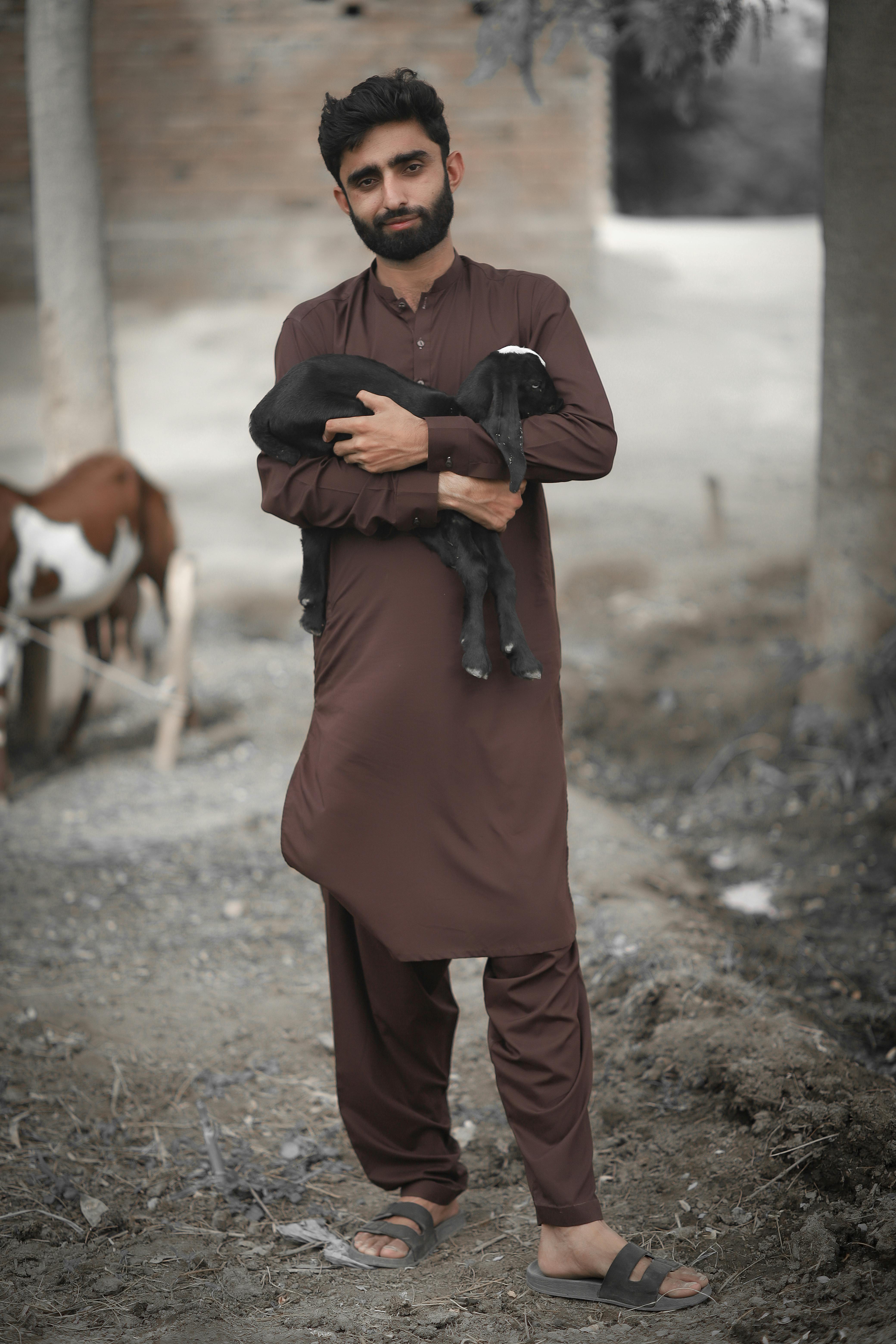 Shepherd Photos, Download The BEST Free Shepherd Stock Photos & HD Images