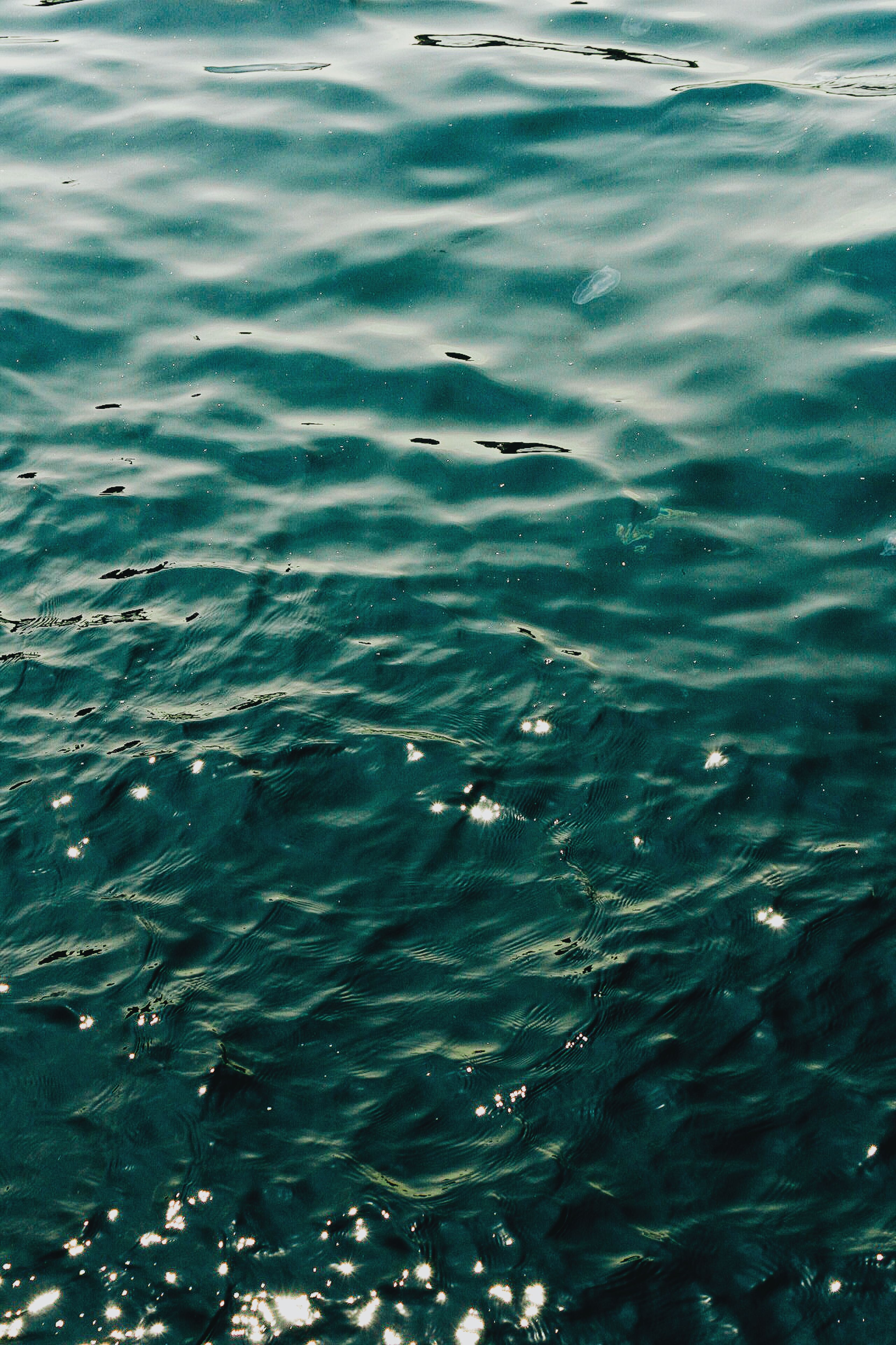 Surface of Disturbed Sea · Free Stock Photo