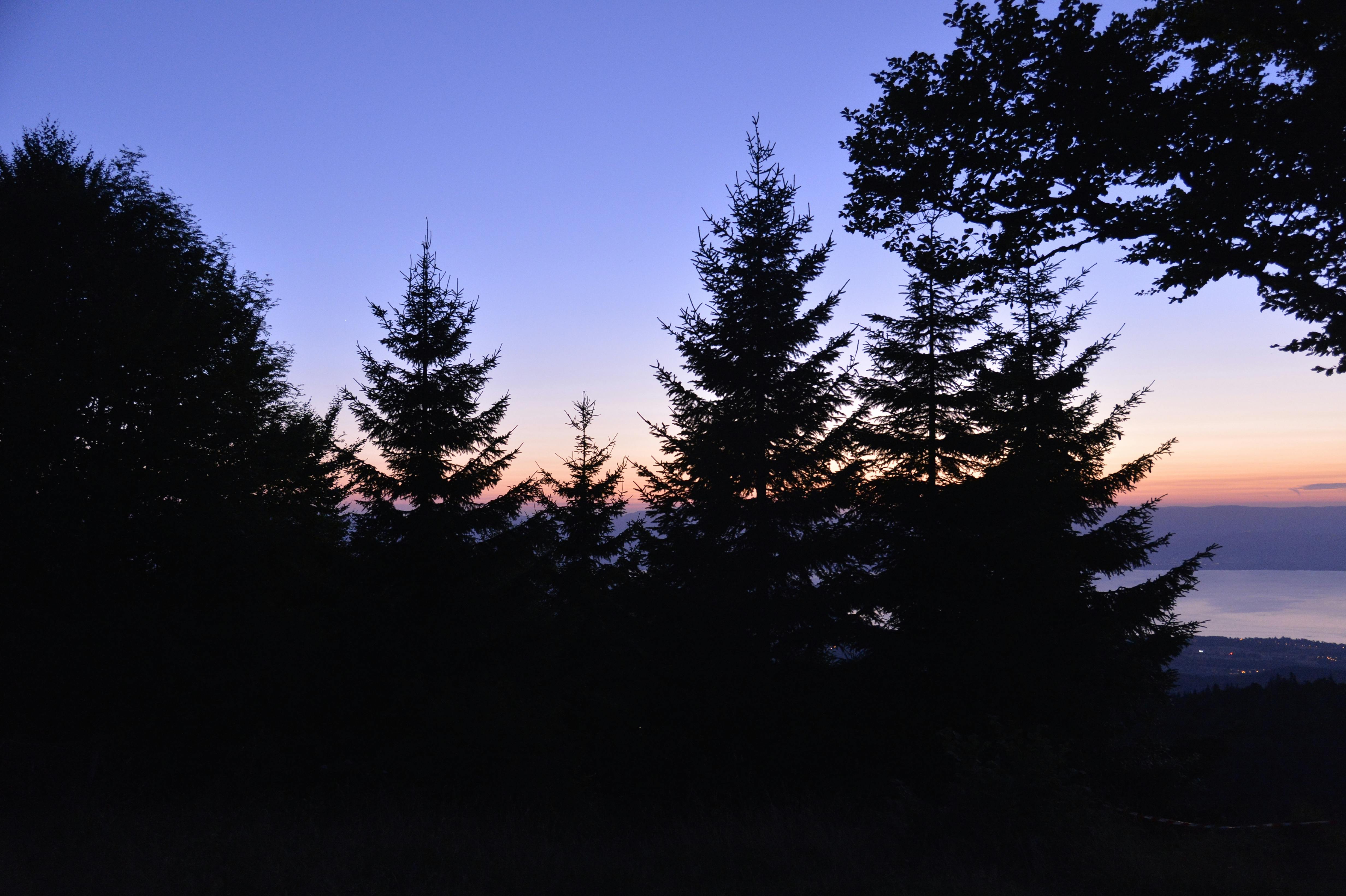 16k Wallpaper Gif Photos, Download Free 16k Wallpaper Gif Stock Photos ...