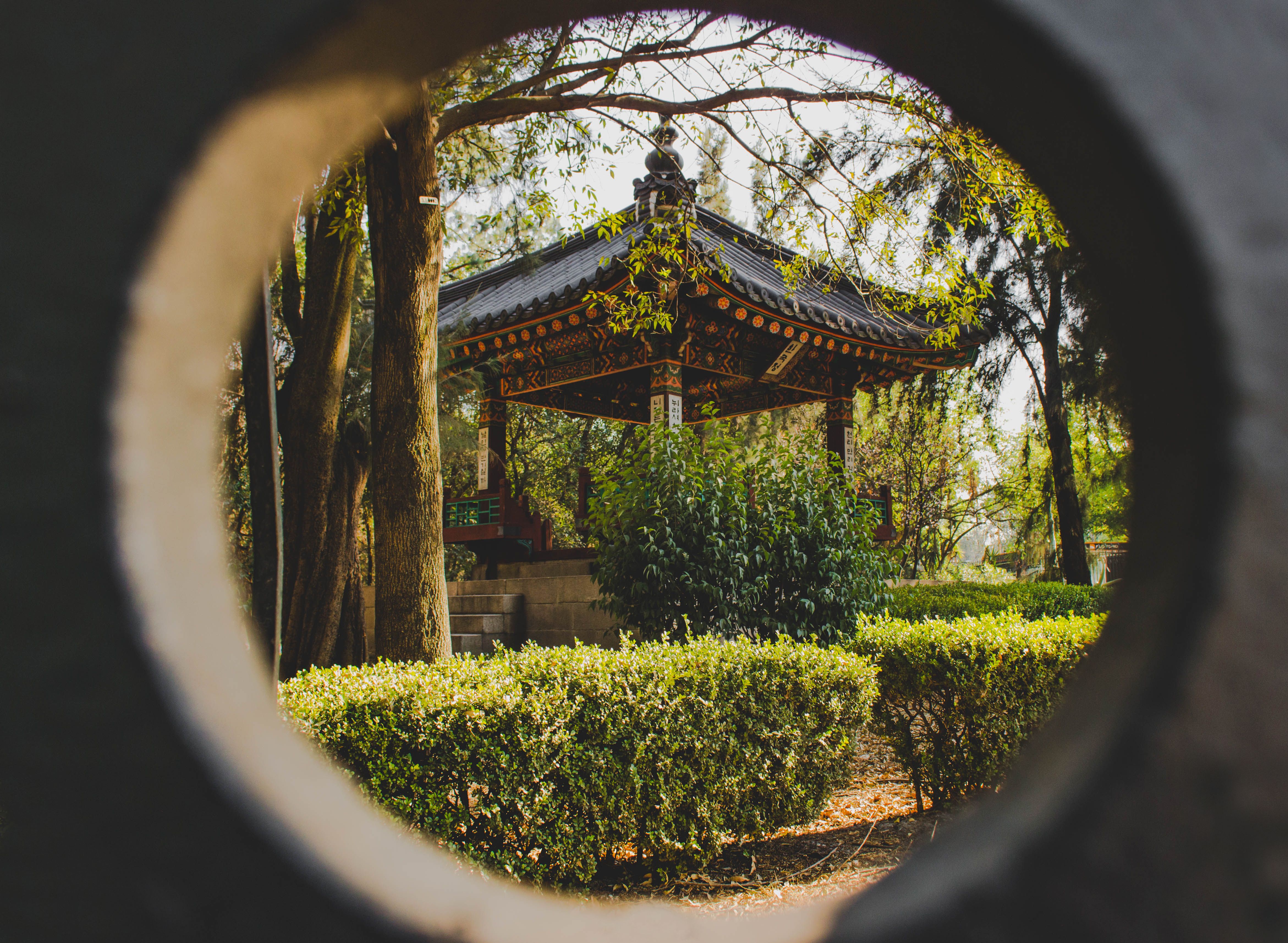 Garden in Temple · Free Stock Photo