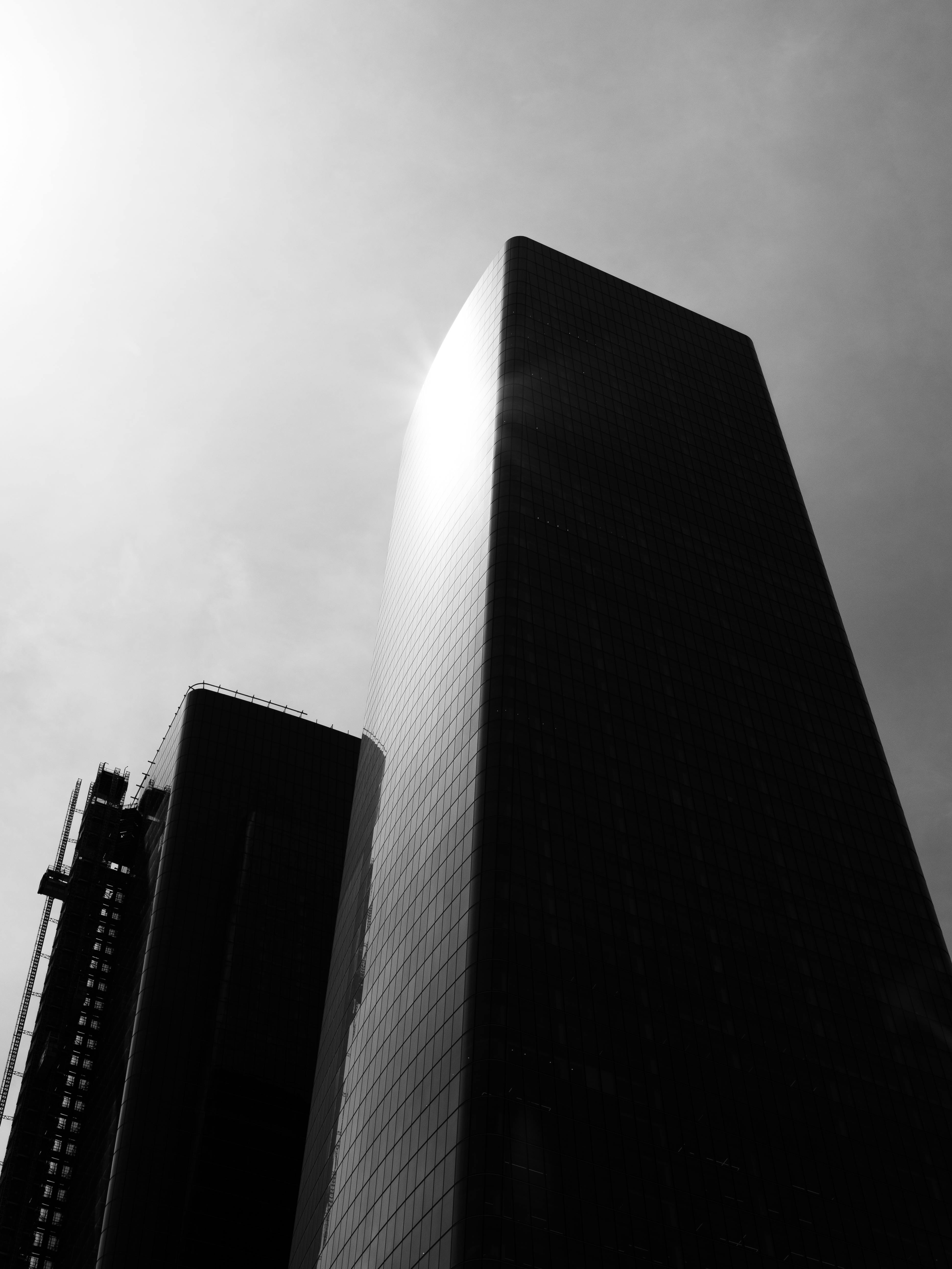 Grayscale Photo of High Rise Buildings · Free Stock Photo