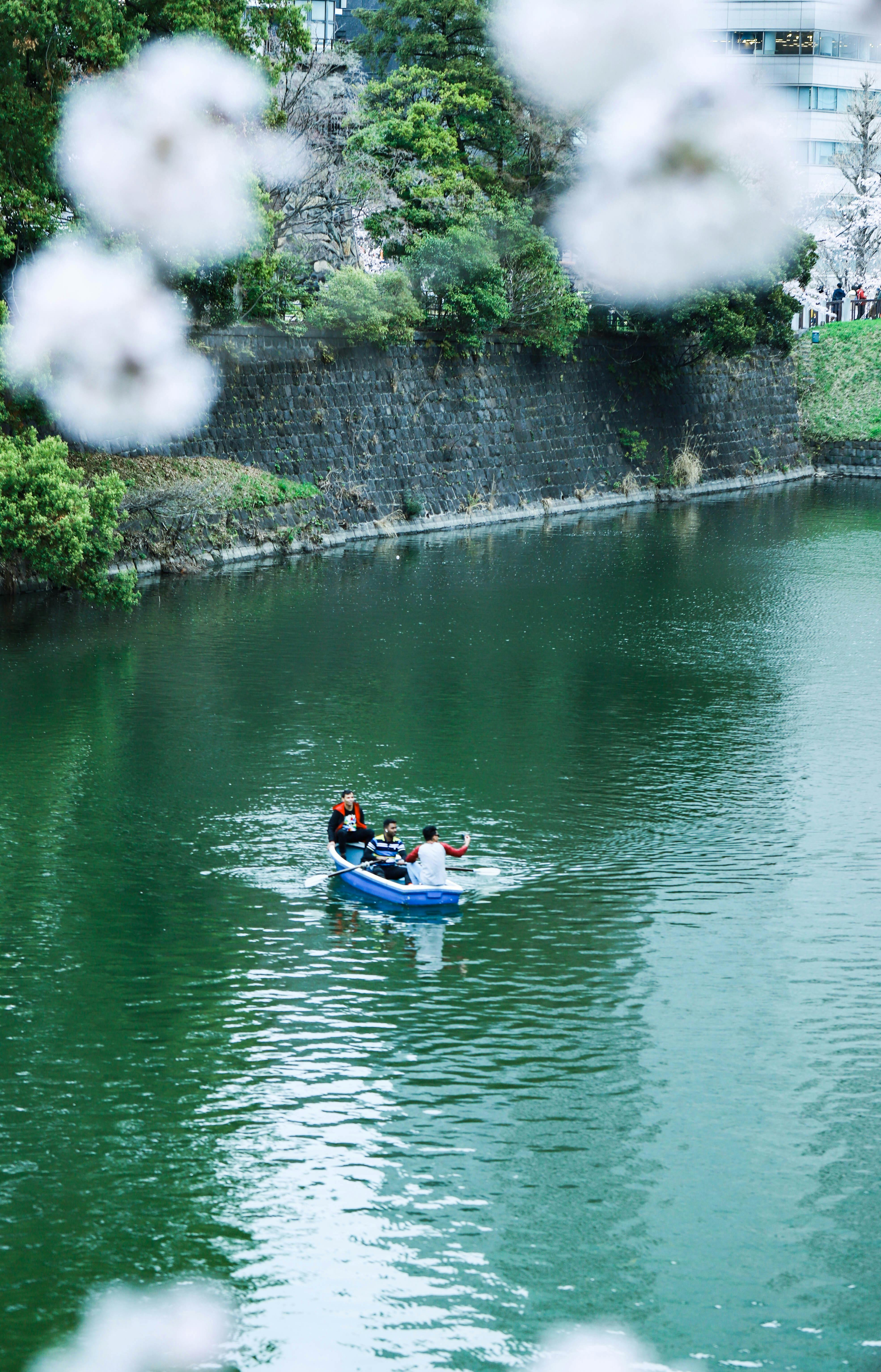 High Angle View of People in a Boat · Free Stock Photo