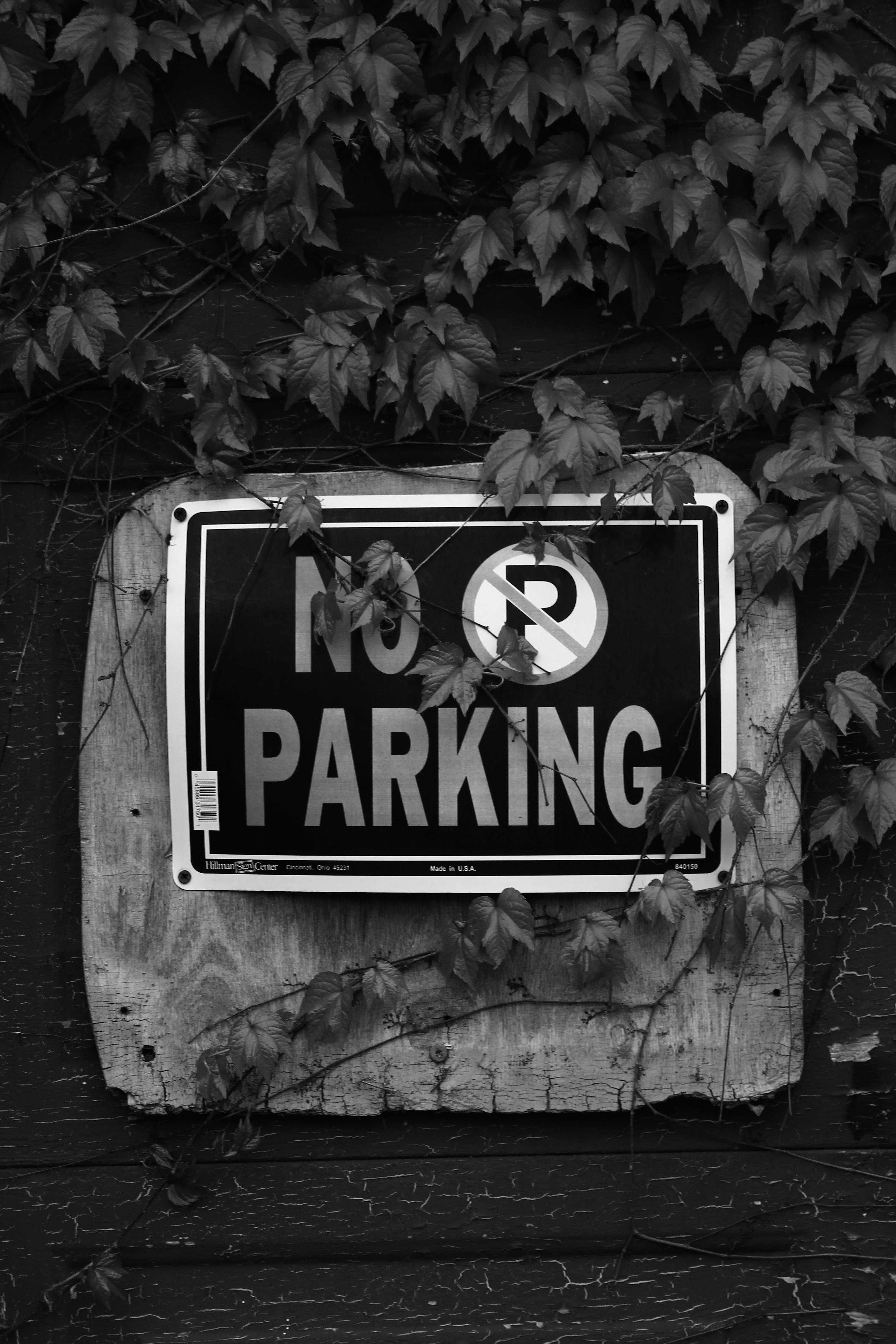 Grayscale Photo of Traffic Signs on the Street · Free Stock Photo