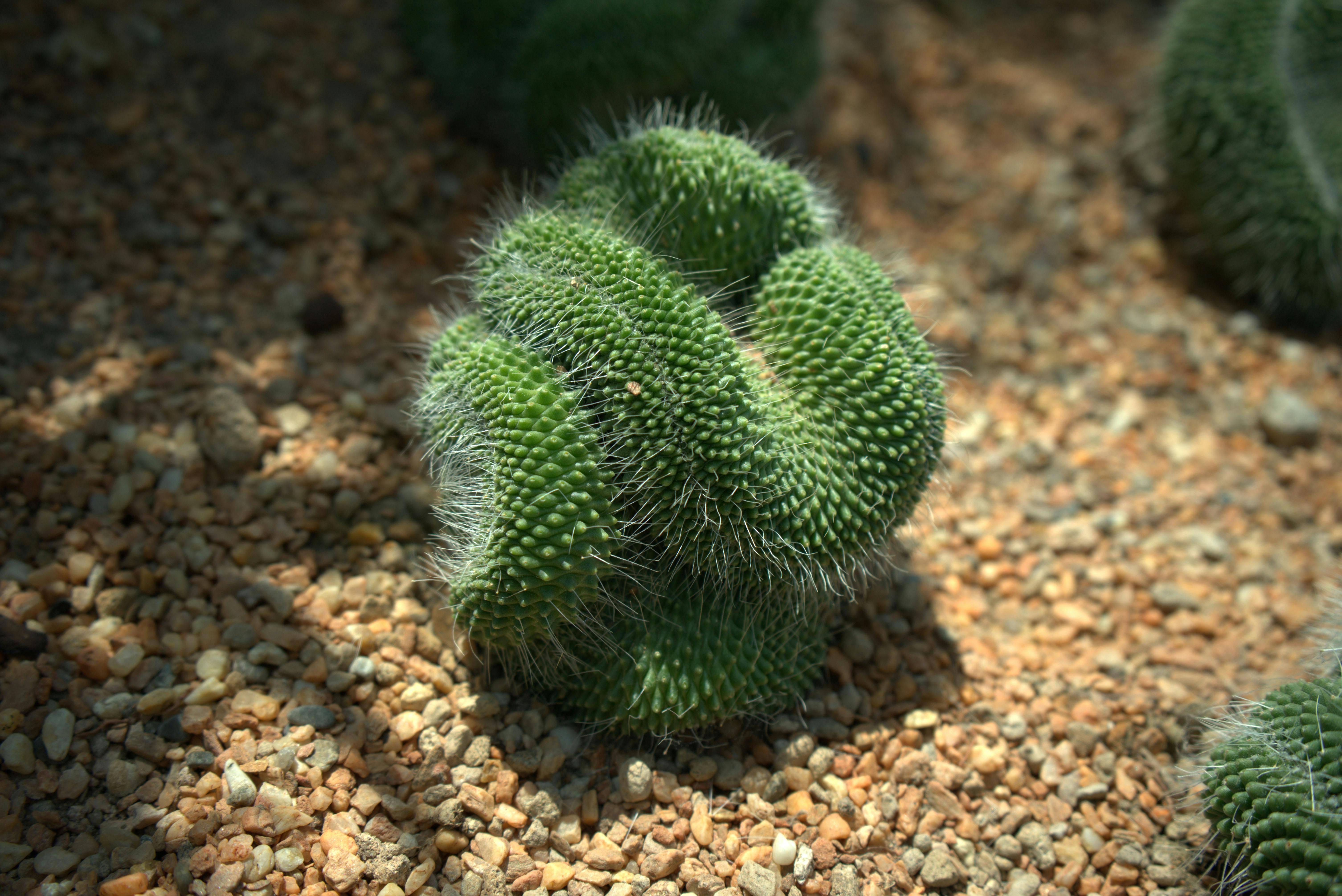 Patrick Booth - Fotografía