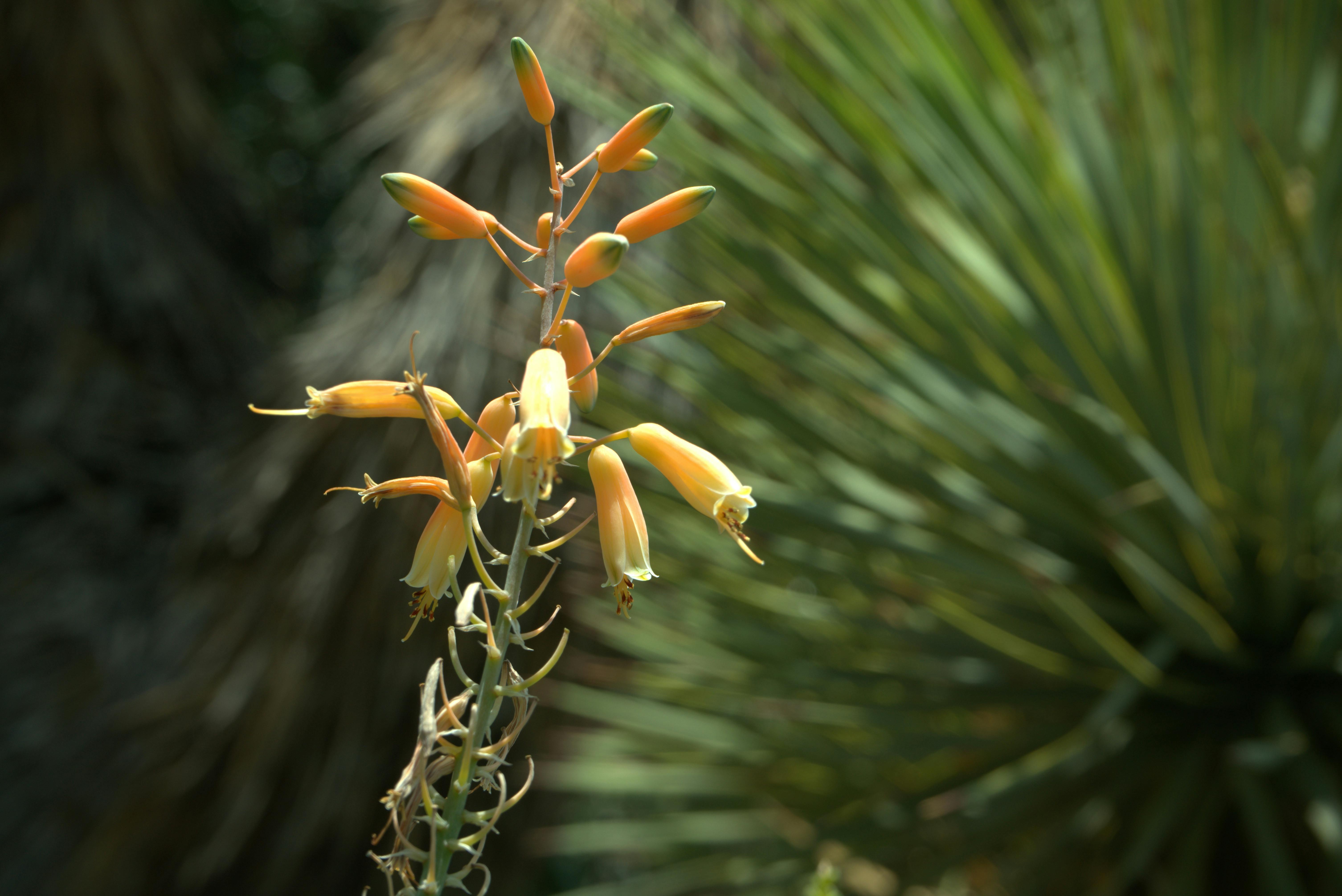 Patrick Booth – Fotografia