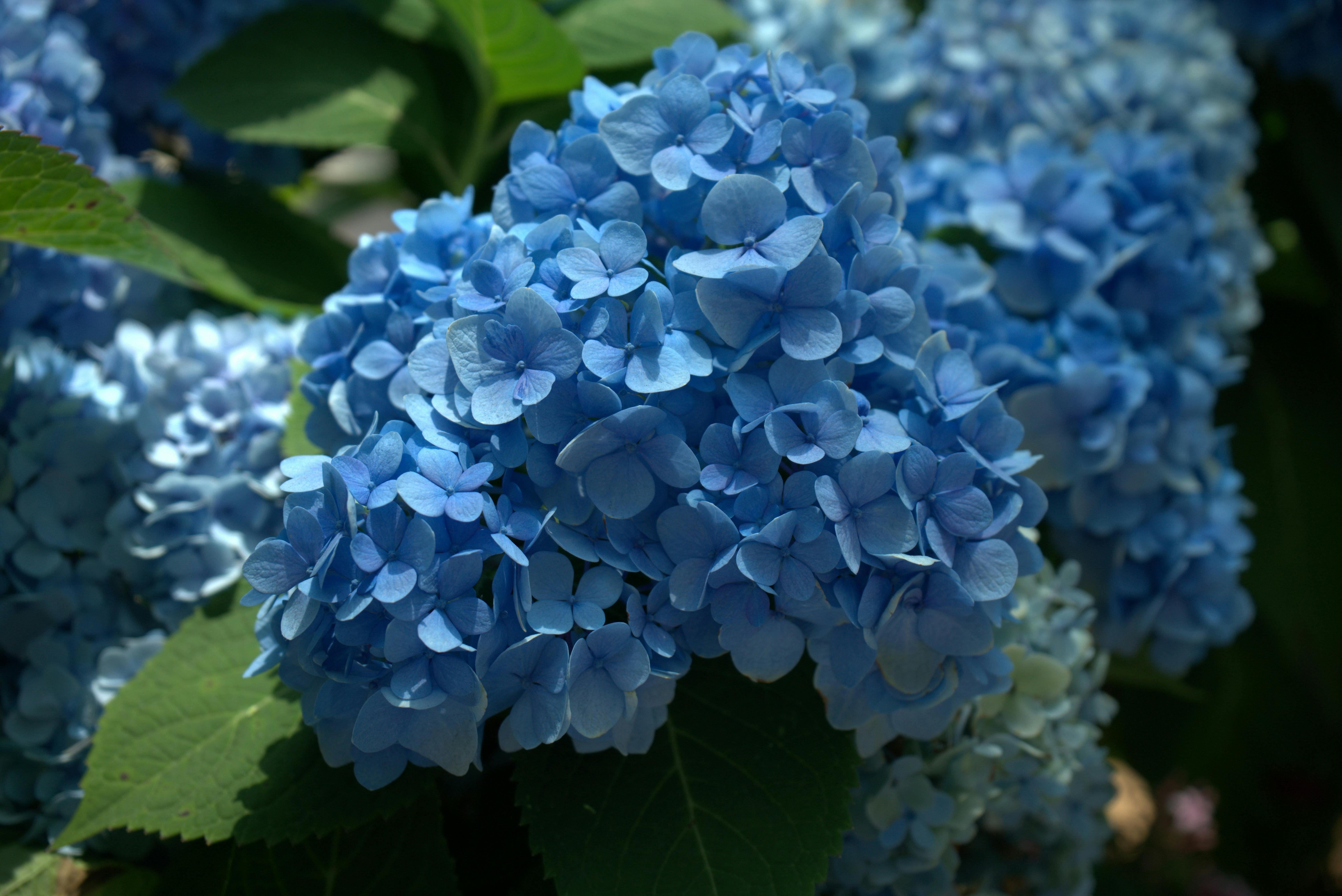 Patrick Booth - Fotografía