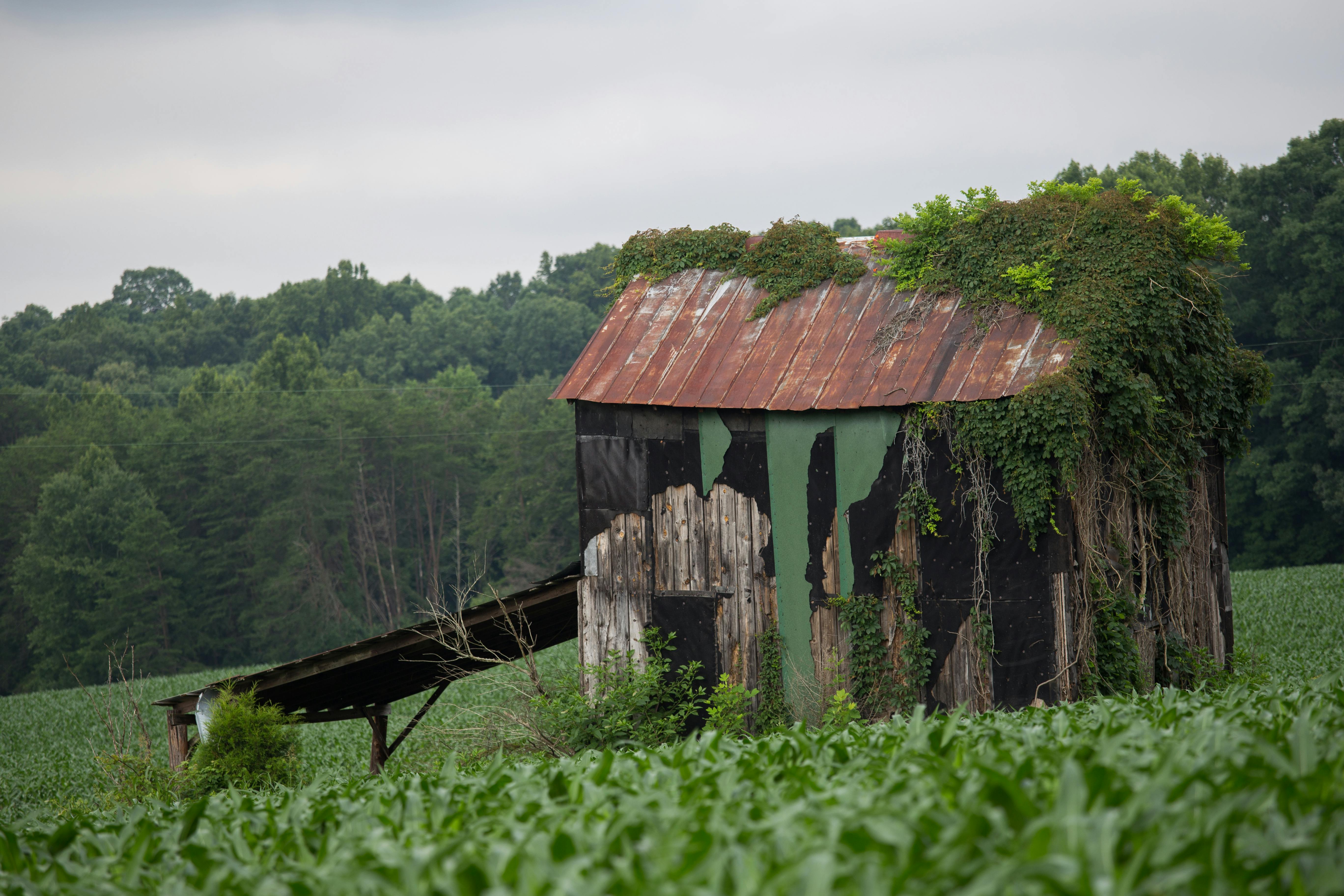 Instalarea Barn Photos, Download Free Instalarea Barn Stock Photos & HD ...