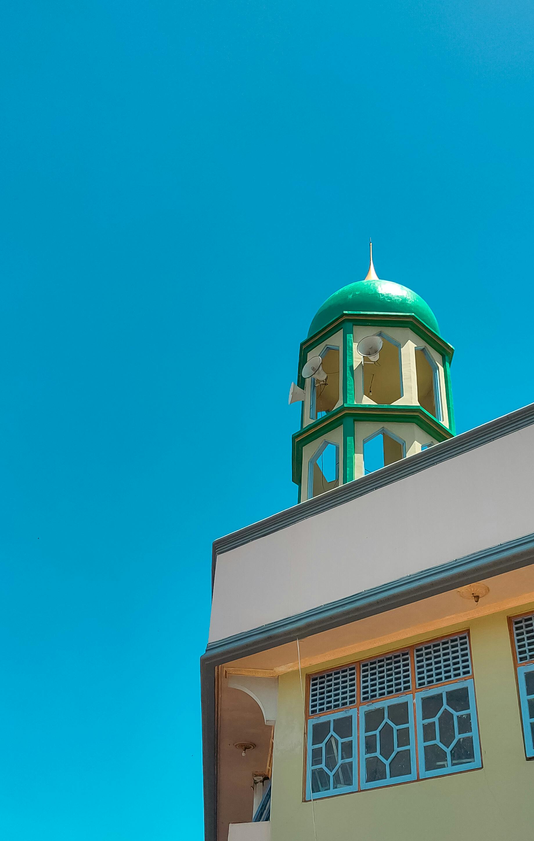 Toa Wektorowe Photos, Download Free Toa Wektorowe Stock Photos & HD Images