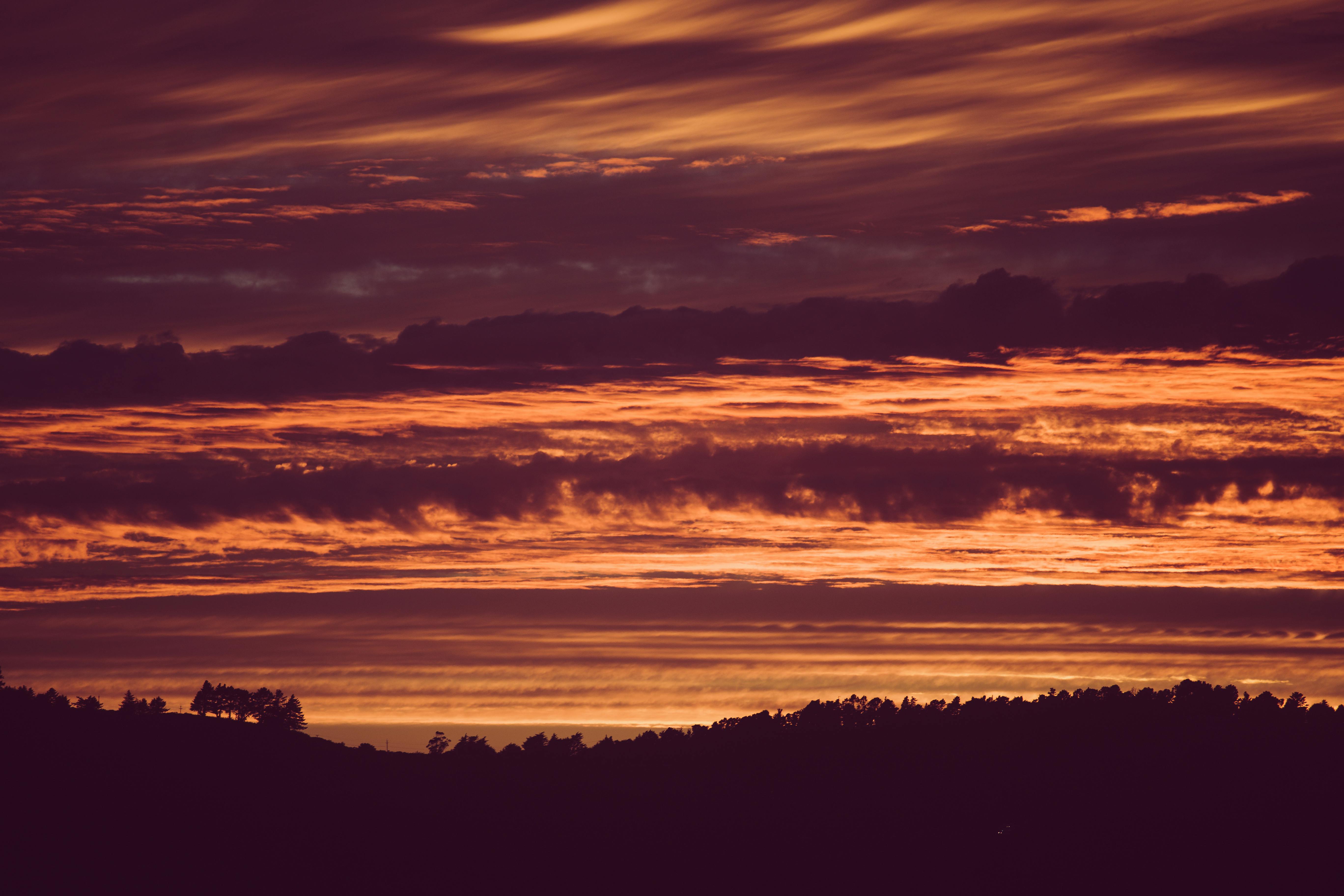 Clouds over Trees and Pond in Park · Free Stock Photo