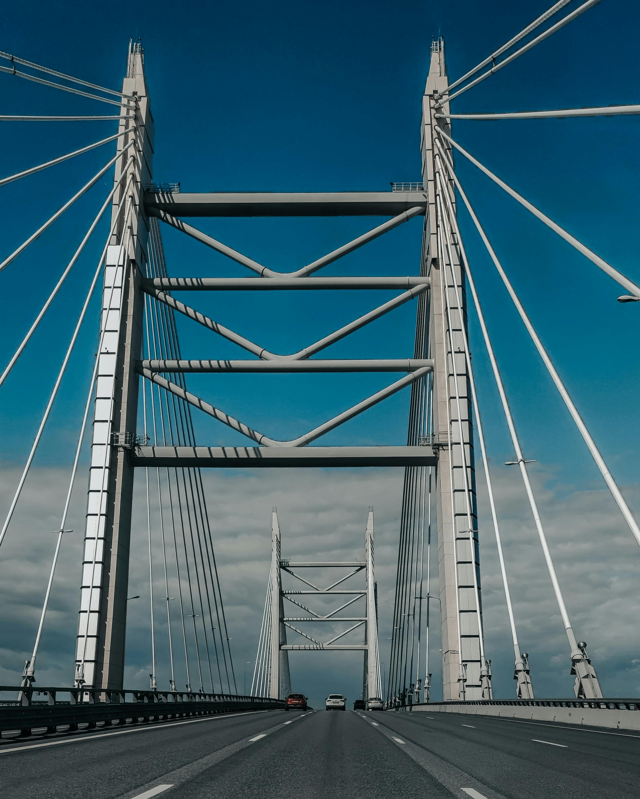 Concrete Pylons and Steel Cables of Rio Negro Bridge in Brazil · Free ...