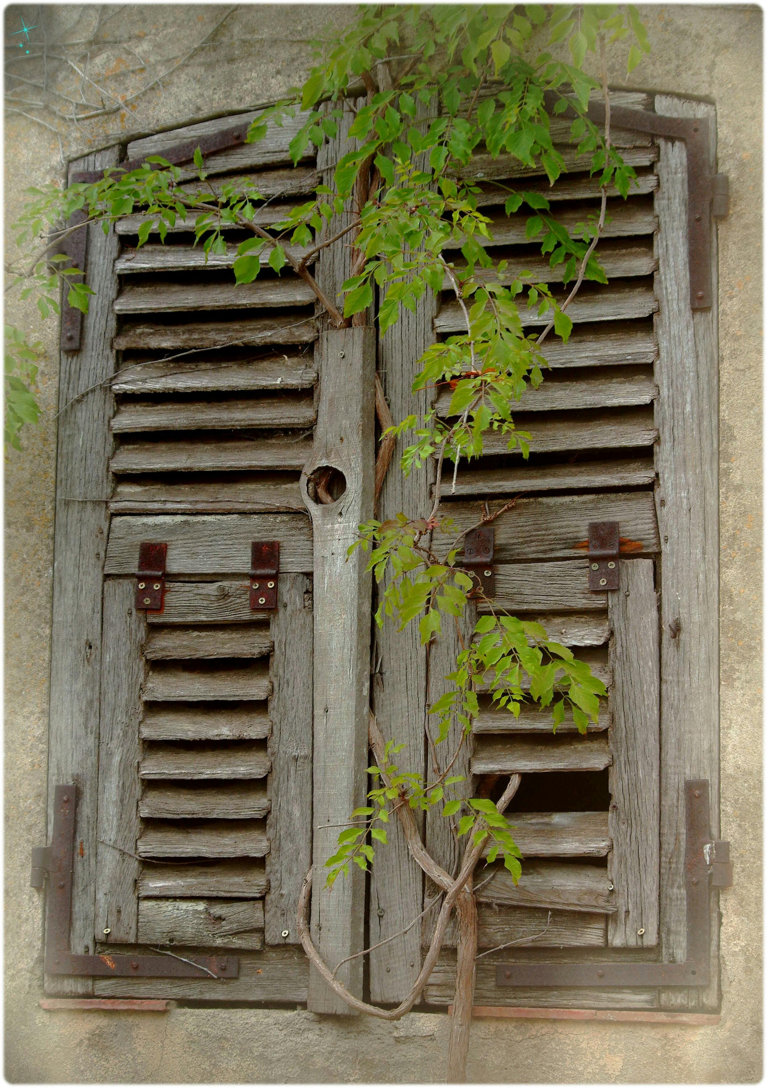 Triangular Window Shutters on Facade of Futuristic Building · Free ...