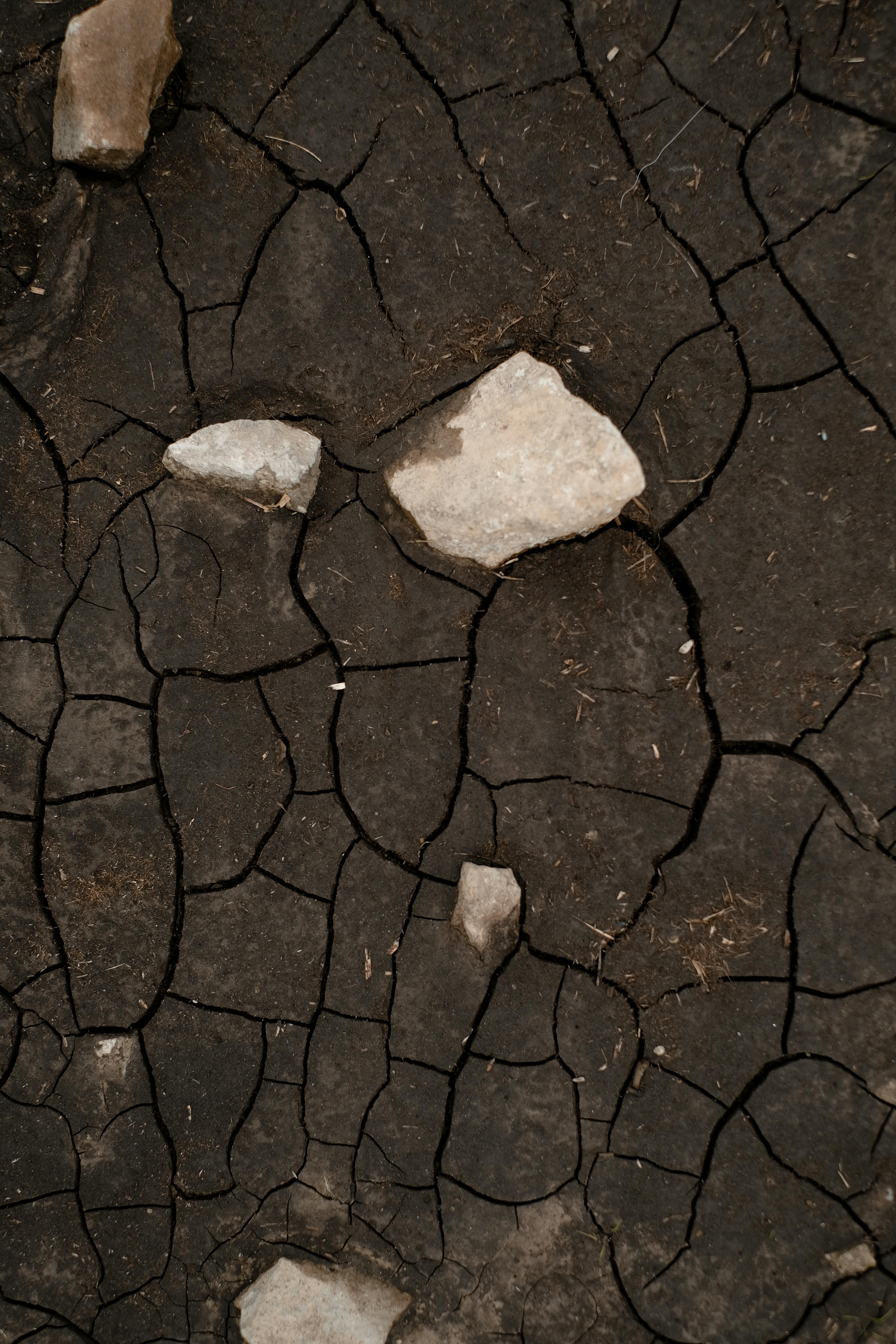 Broken Ground Photos, Download The BEST Free Broken Ground Stock Photos ...