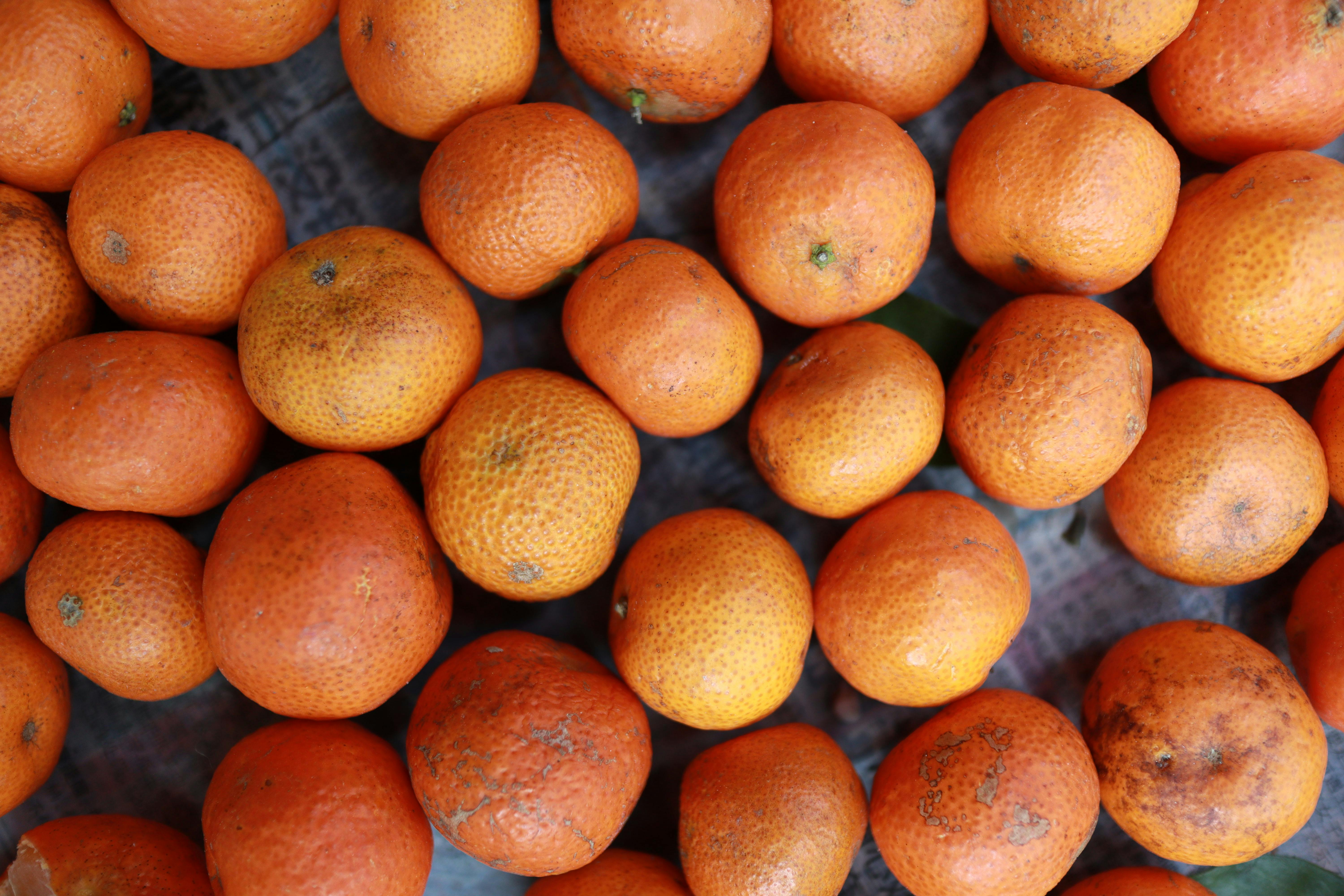 Christopher - Photography