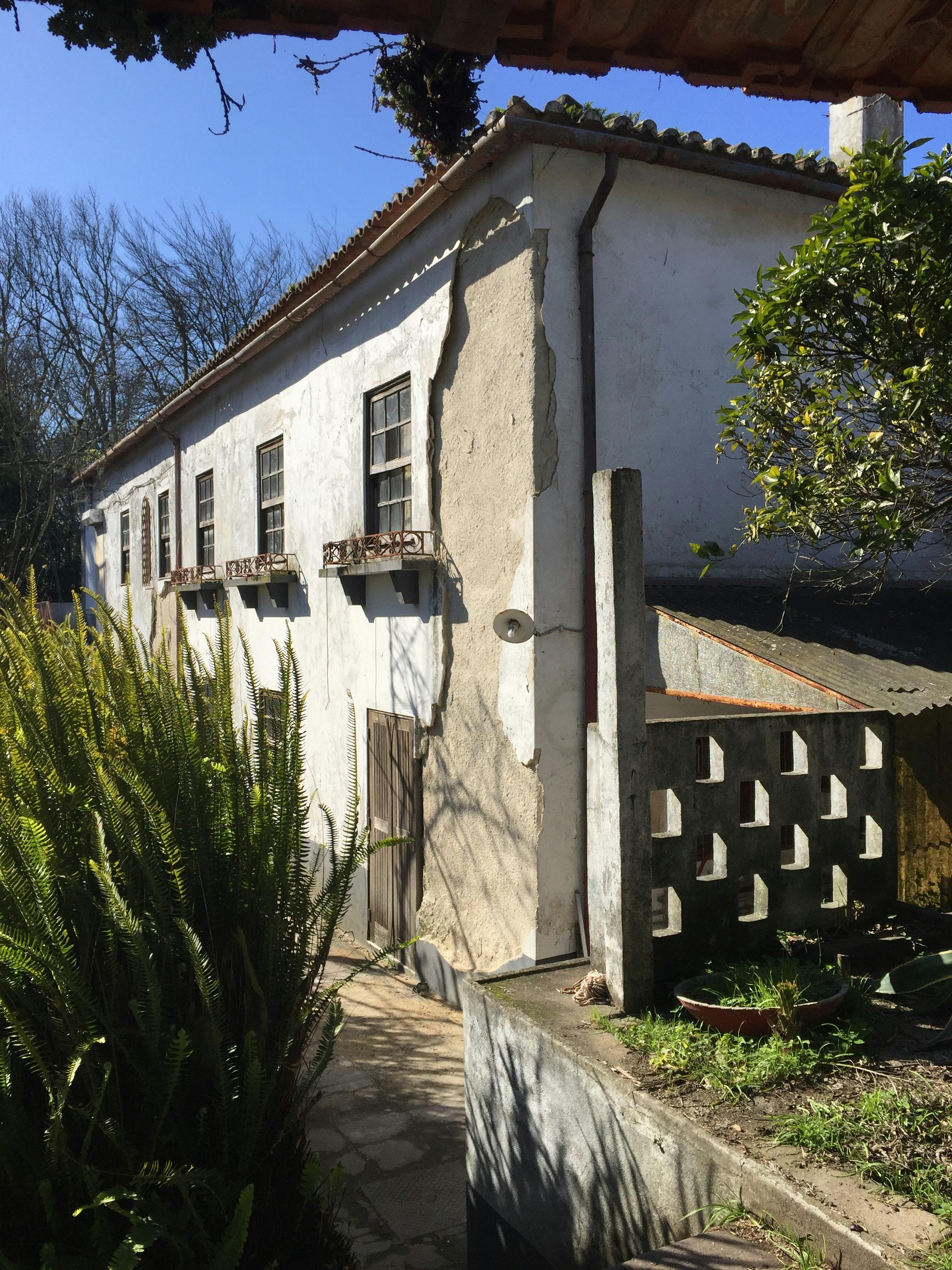 Ana Lisa - Photography