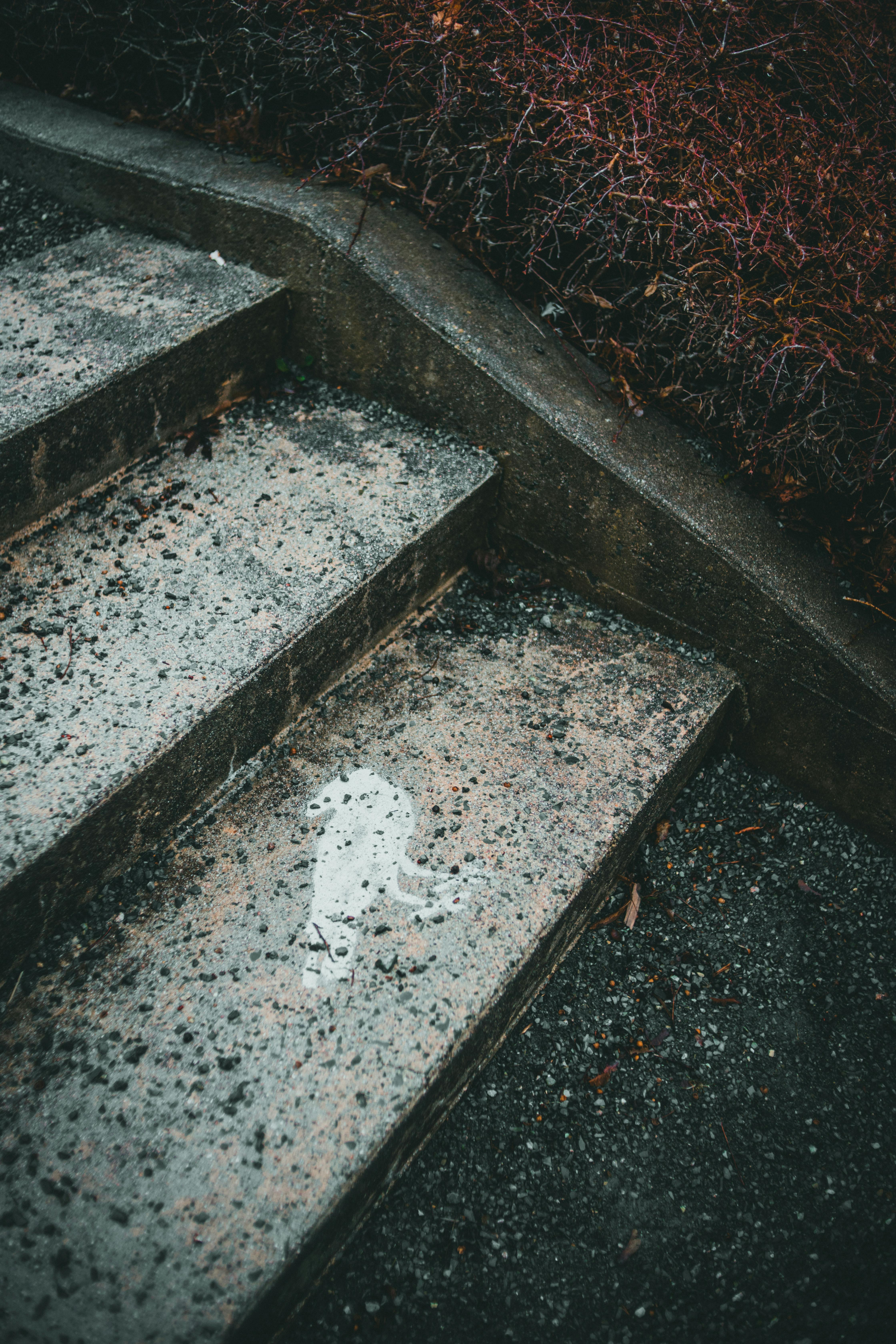 Gray Concrete Stairs in Close Up Shot · Free Stock Photo