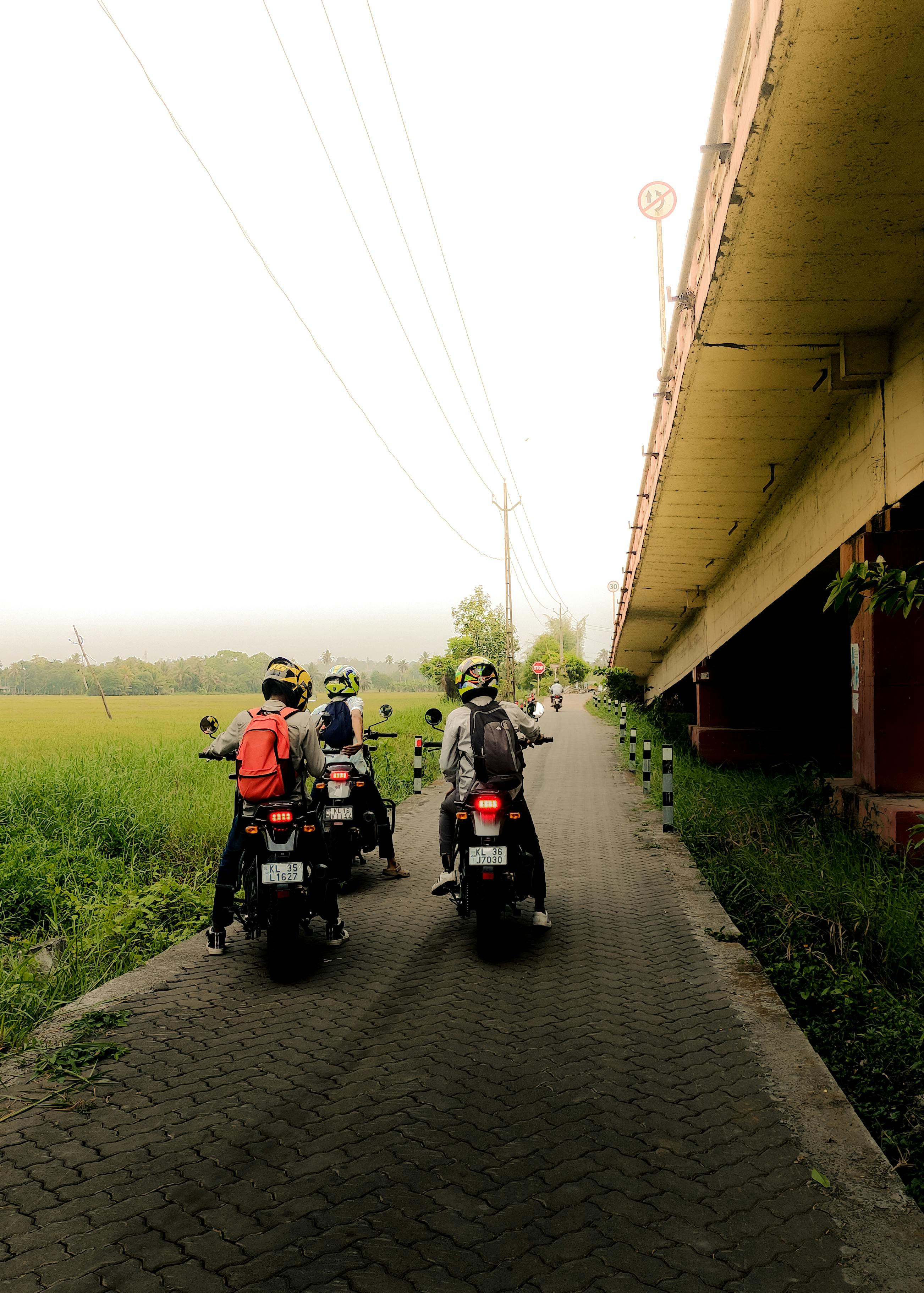 Back View of Three People Riding Scooters · Free Stock Photo