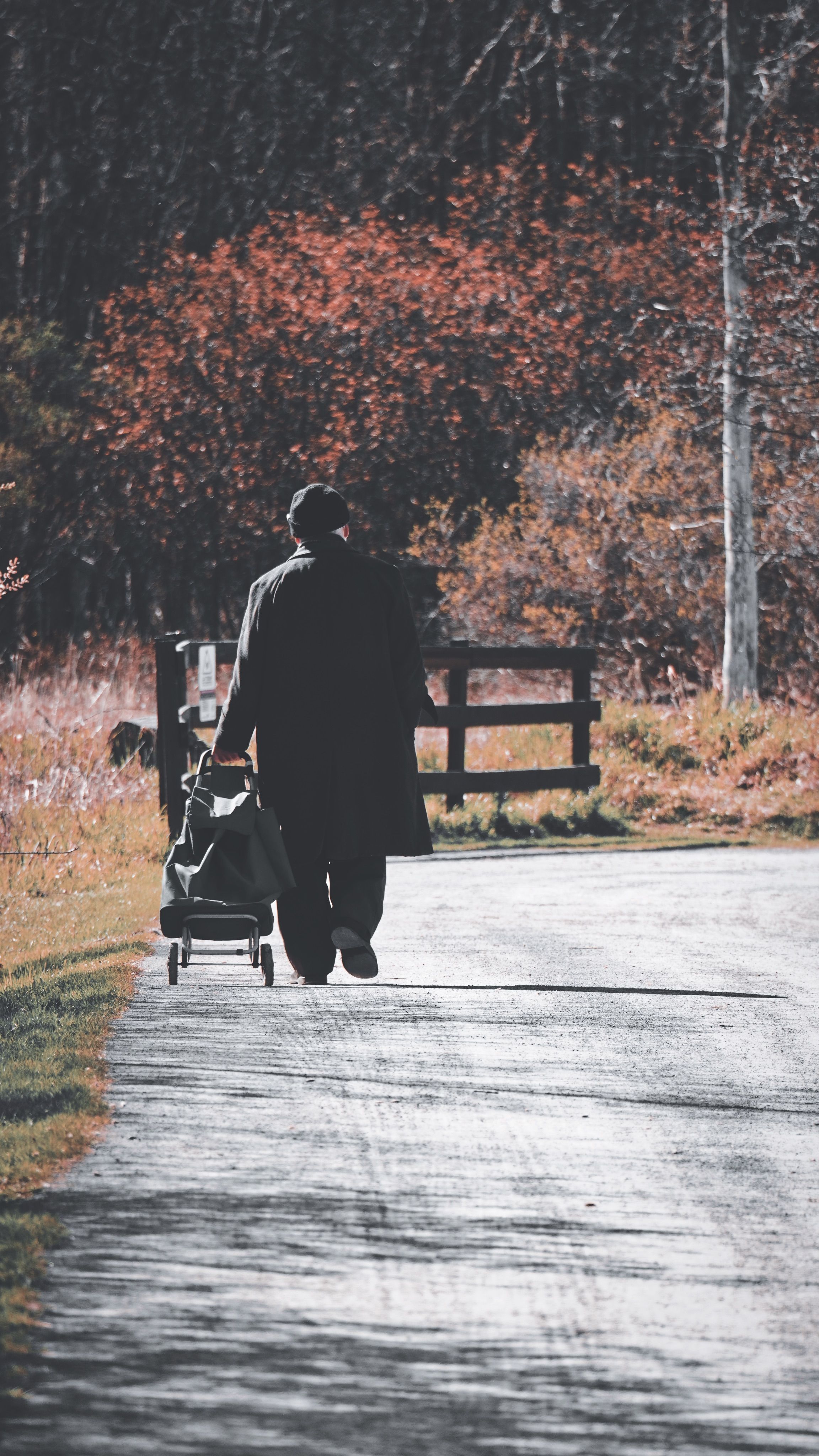 Man pulling a Trolley · Free Stock Photo