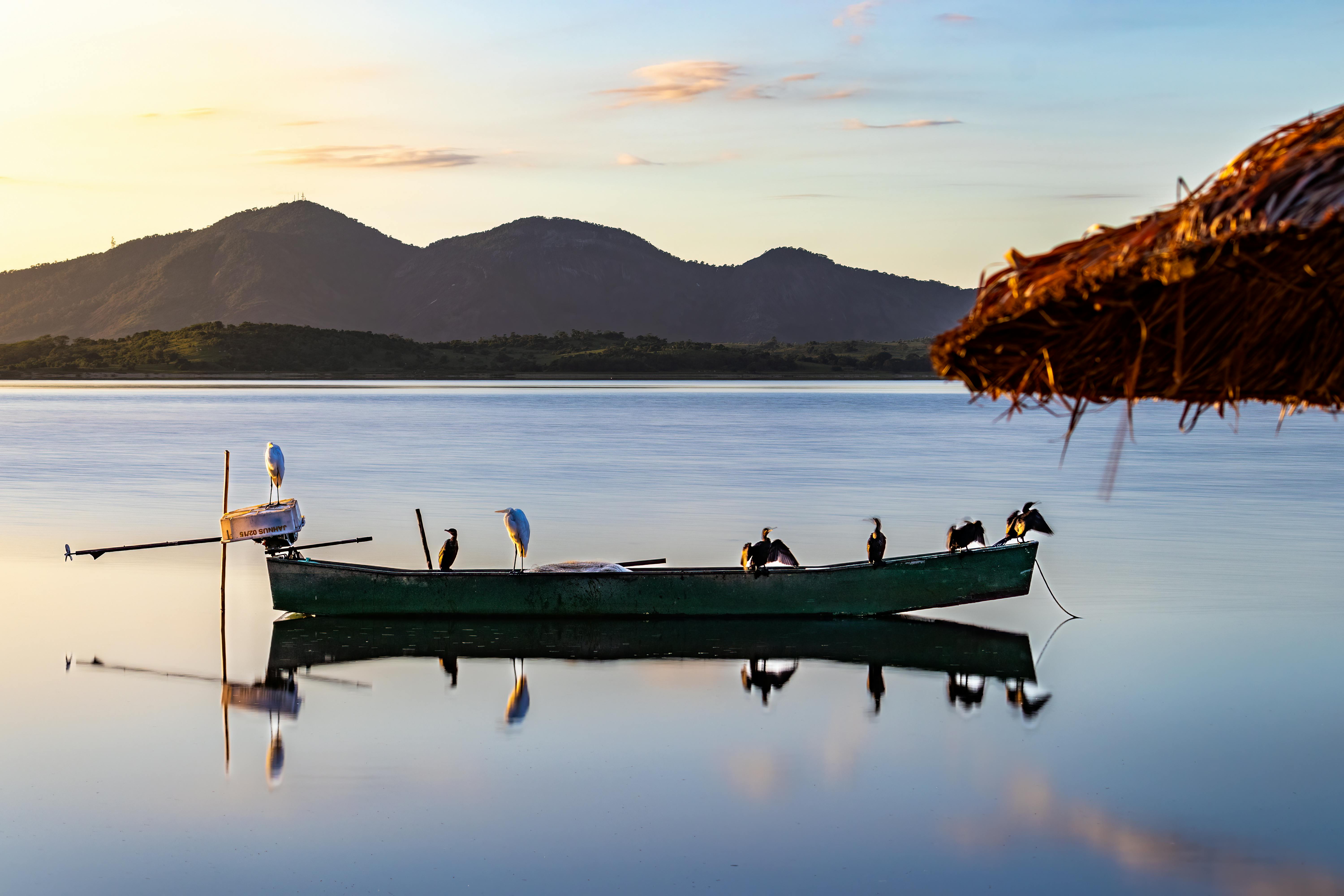 Eternal Rest Photos, Download The BEST Free Eternal Rest Stock Photos ...