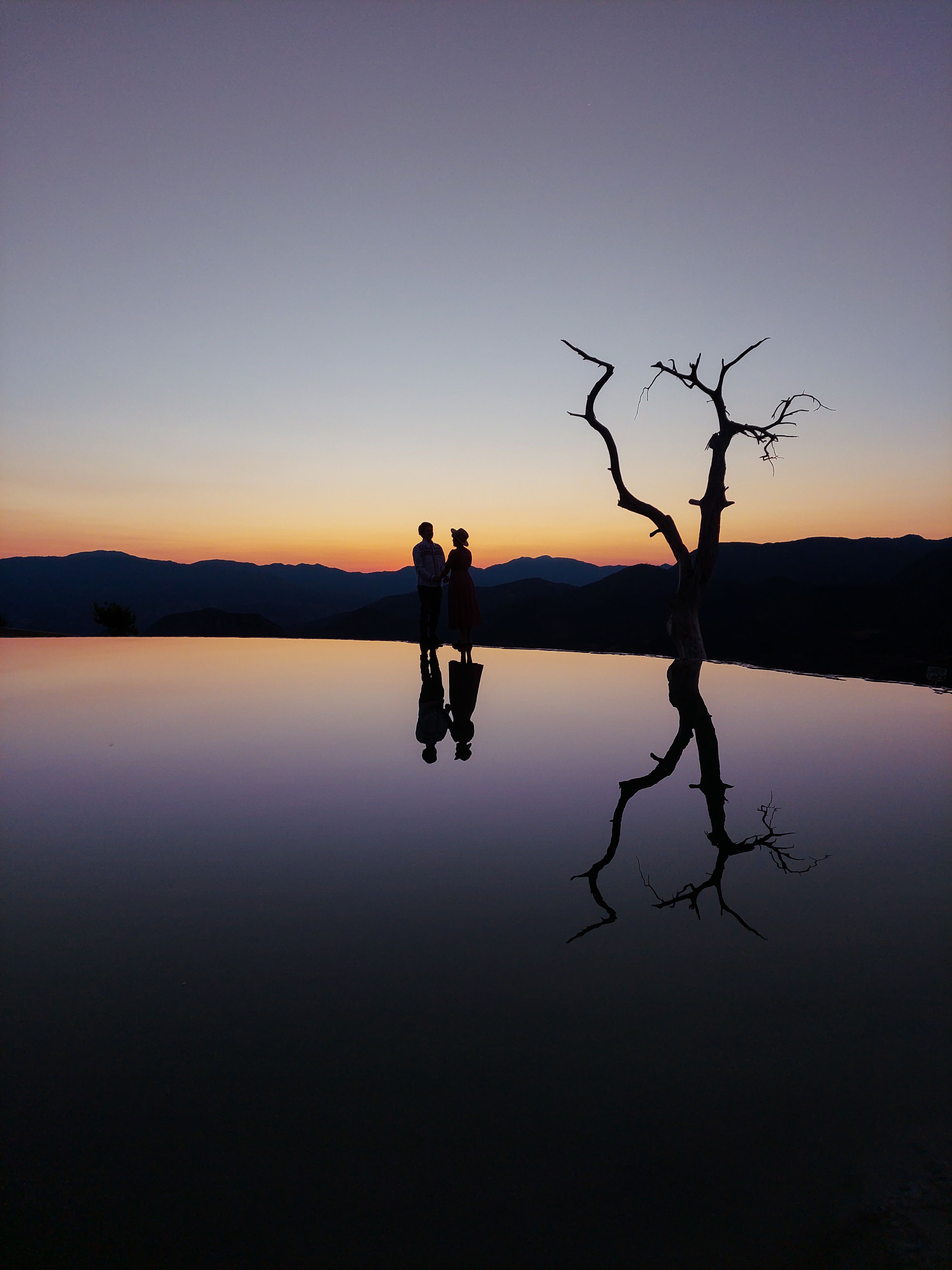 Withered Tree and Couple on Water at Sunset · Free Stock Photo