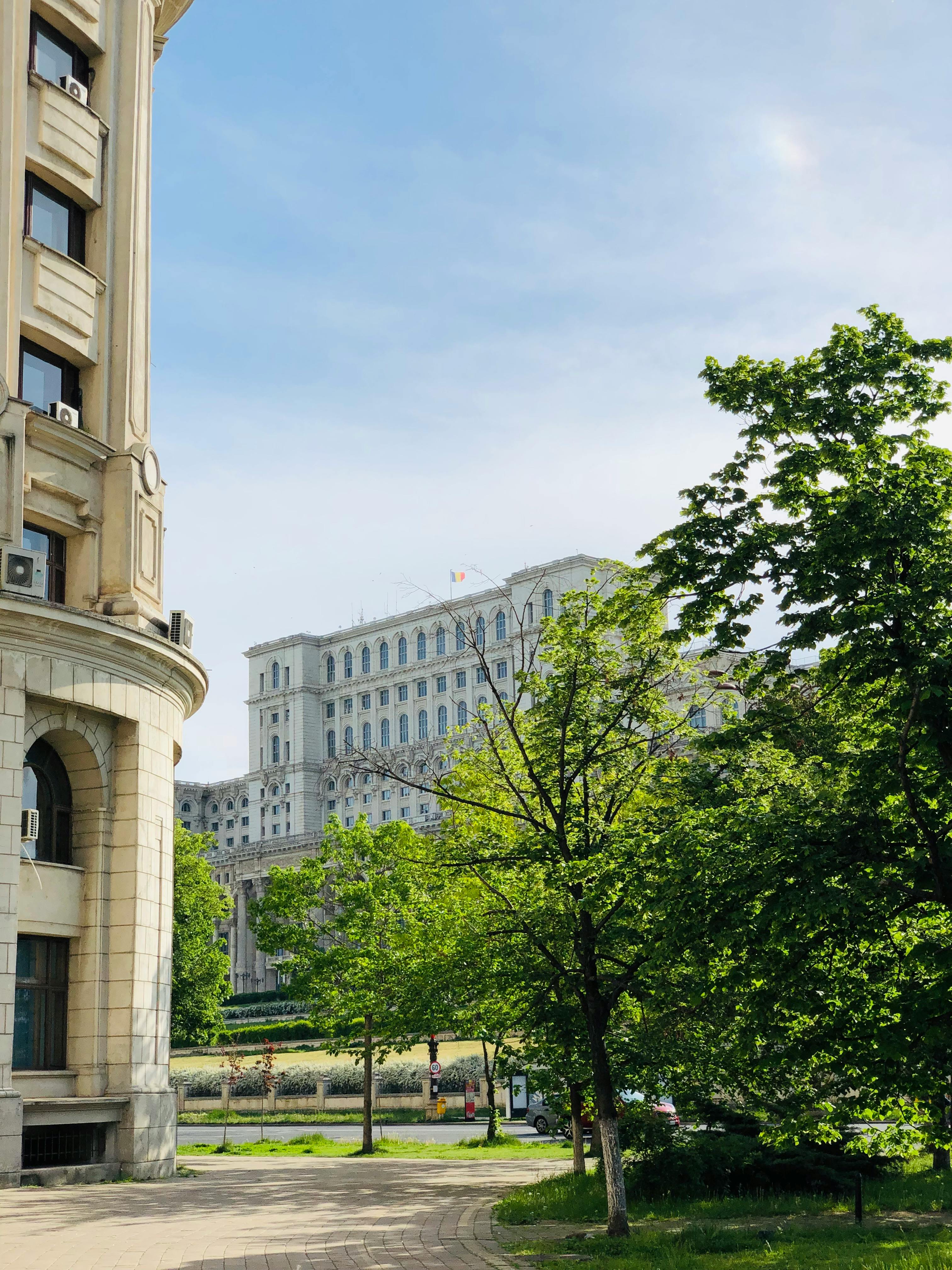 Park and Trees with Buildings behind · Free Stock Photo