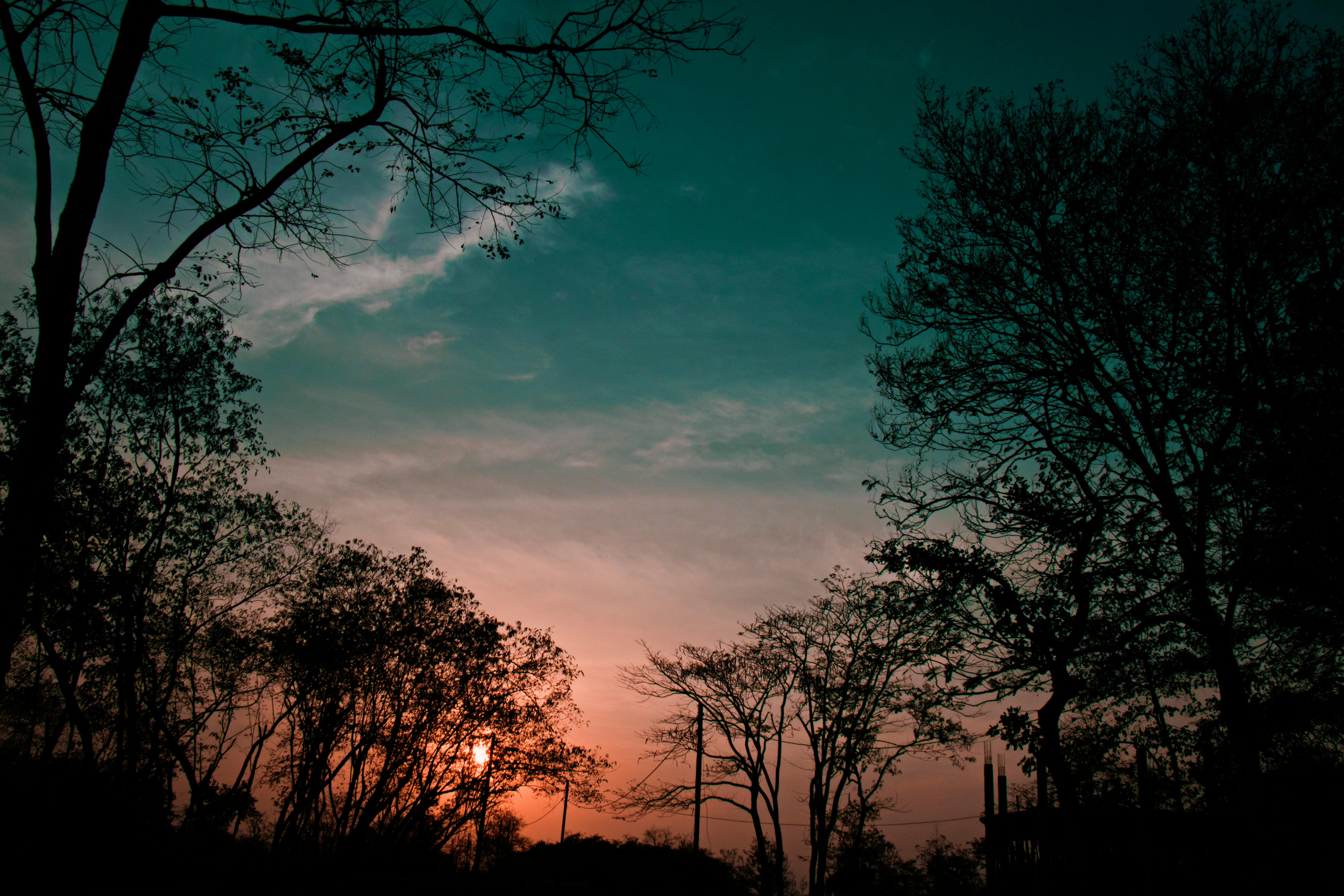 Samarth Singhai · Photography