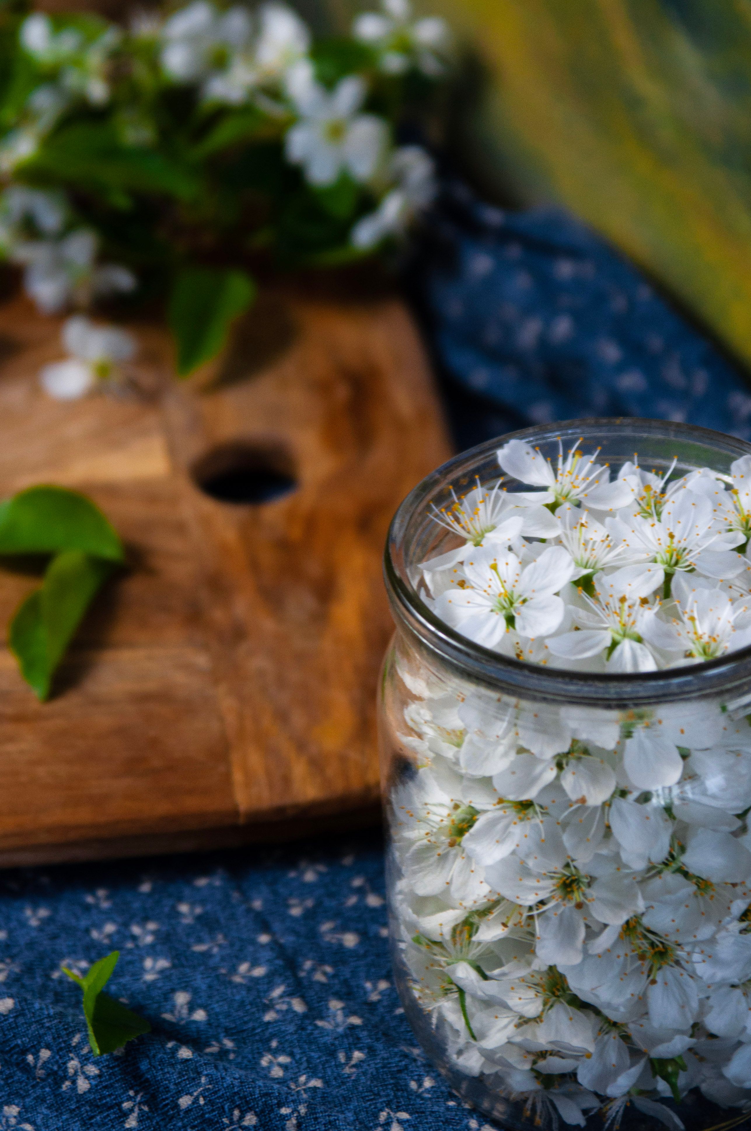 118,490+ Best Free Small flowers Stock Photos & Images · 100% Royalty ...
