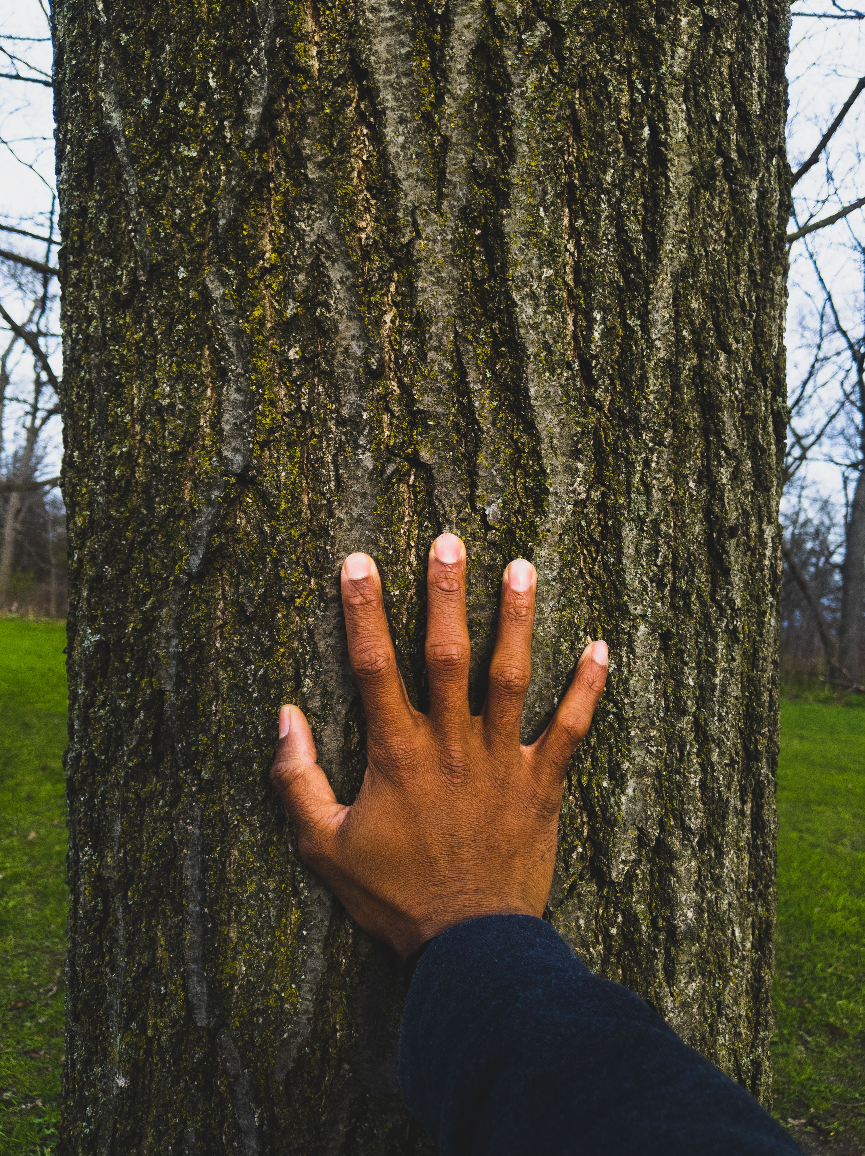Close-up Photo of Hand Wearing Ring Holding Tree Trunk · Free Stock Photo