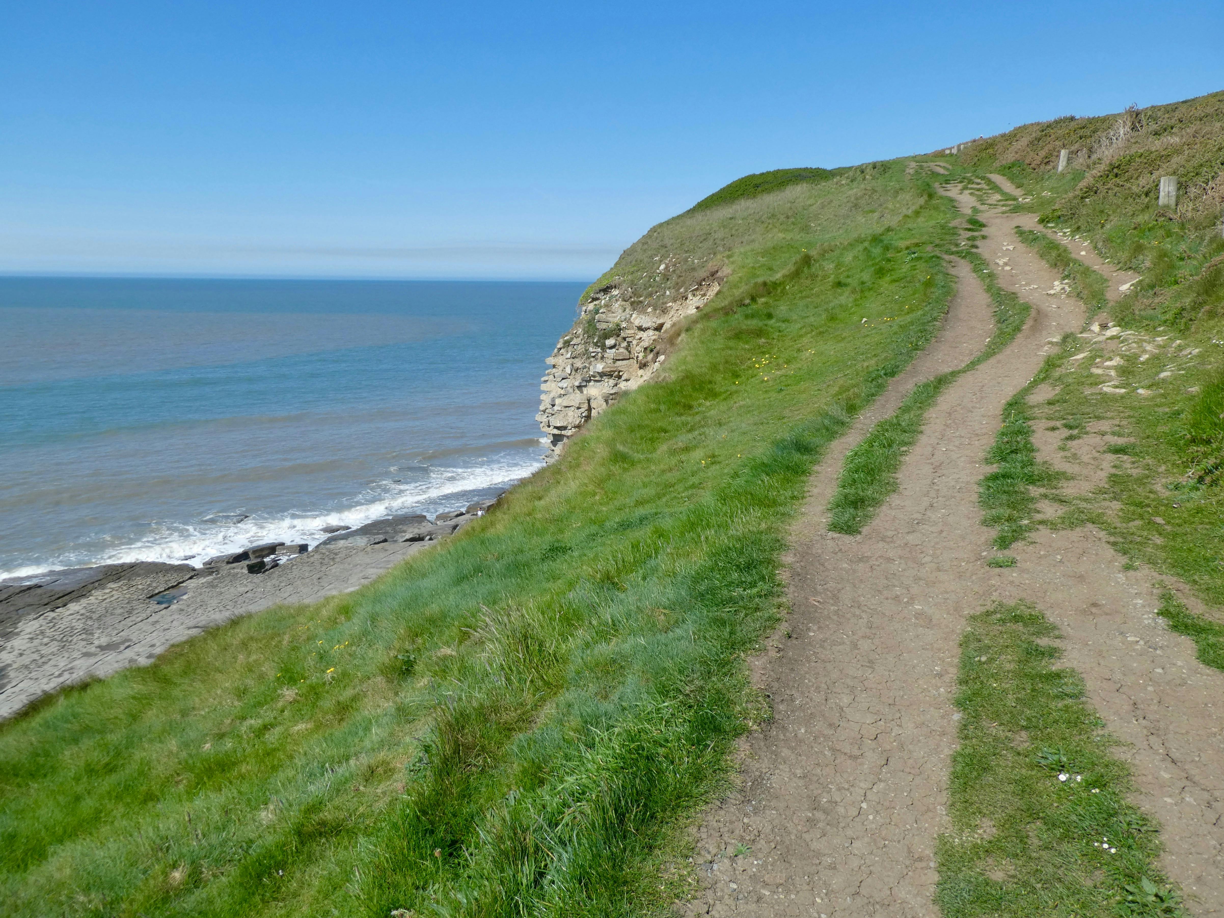 Green Grass Near the Ocean · Free Stock Photo