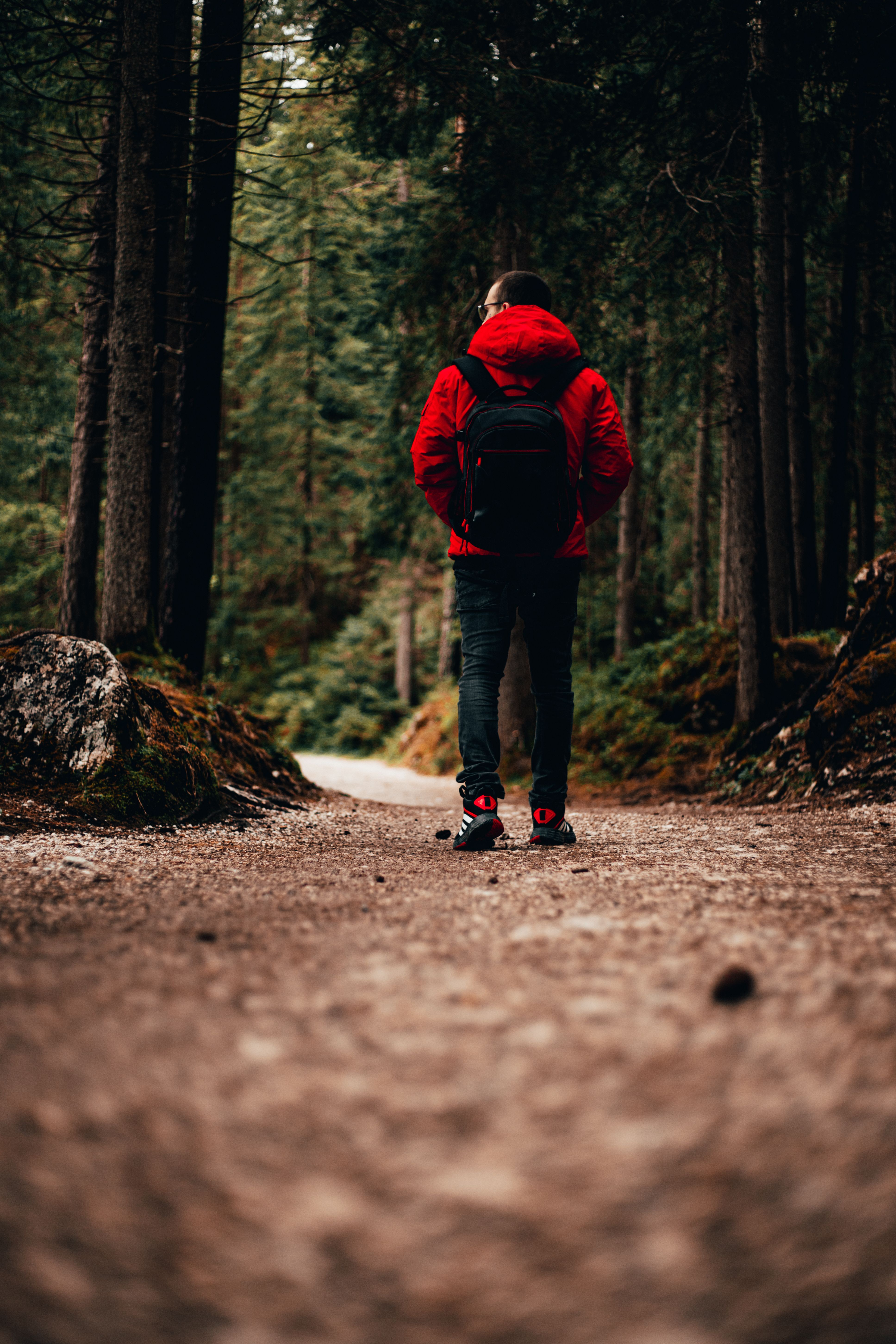 Person Walking On Path · Free Stock Photo