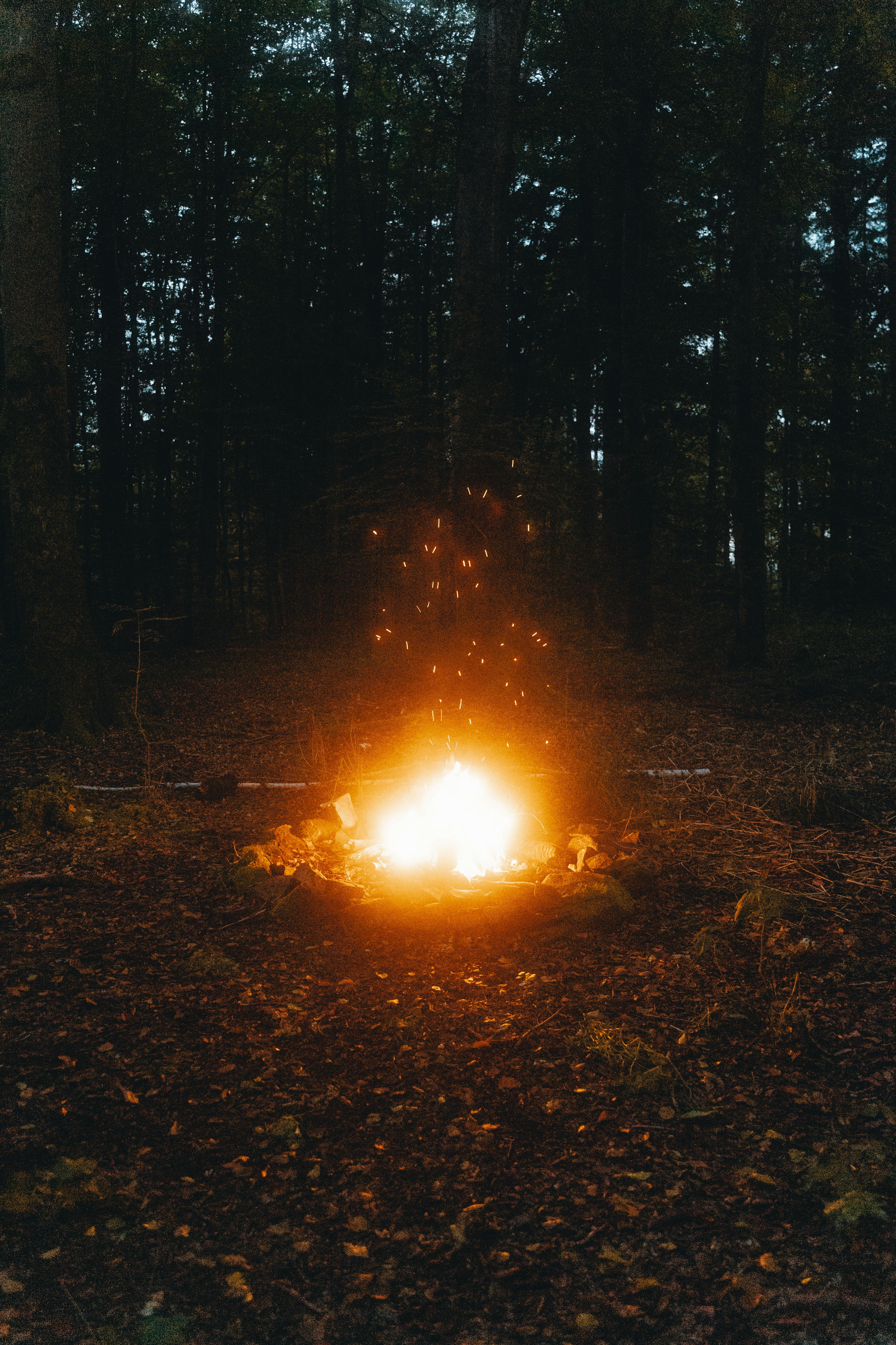 Bonfire in Forest during Night Time · Free Stock Photo
