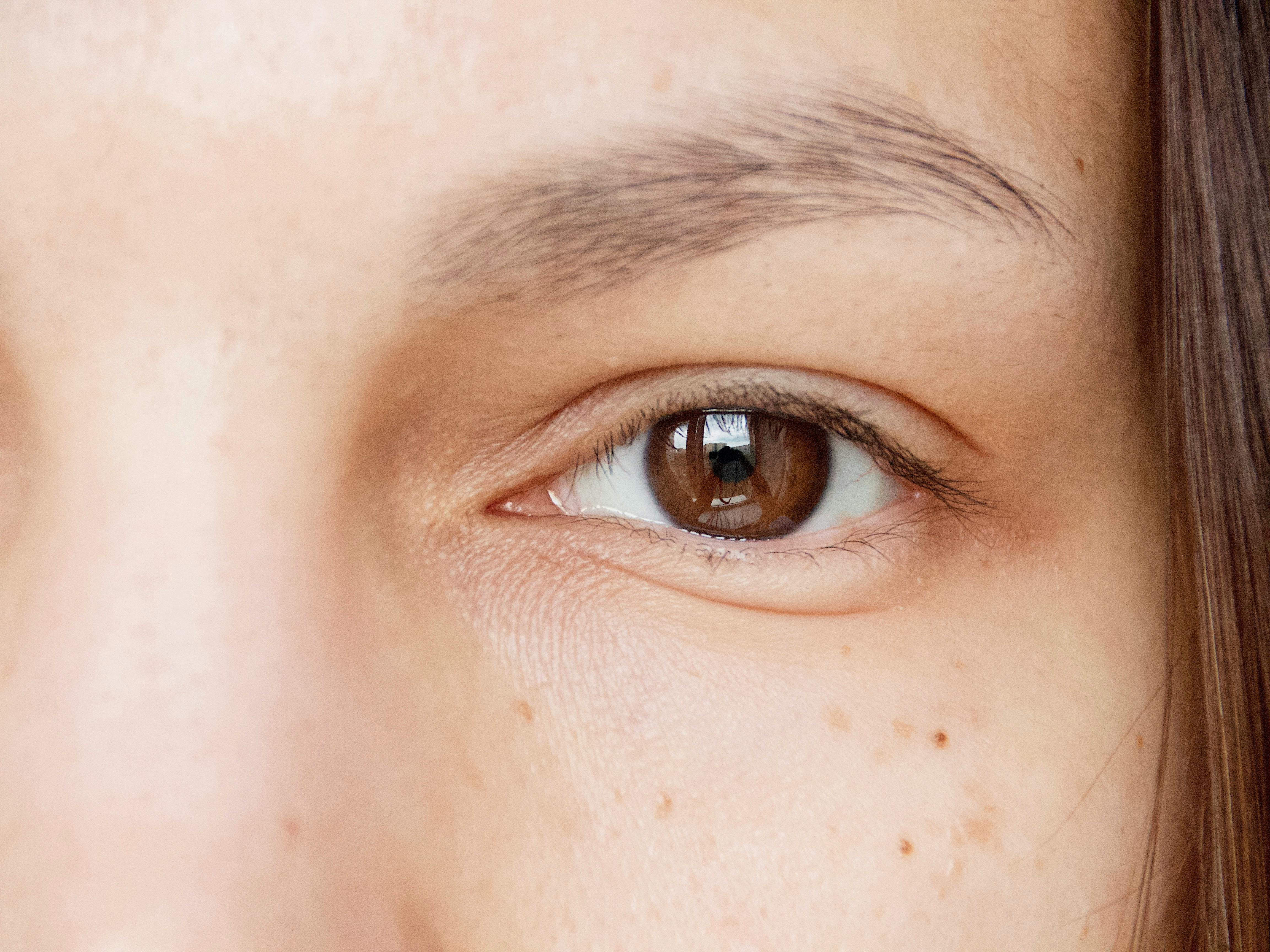 Brown Human Eye · Free Stock Photo