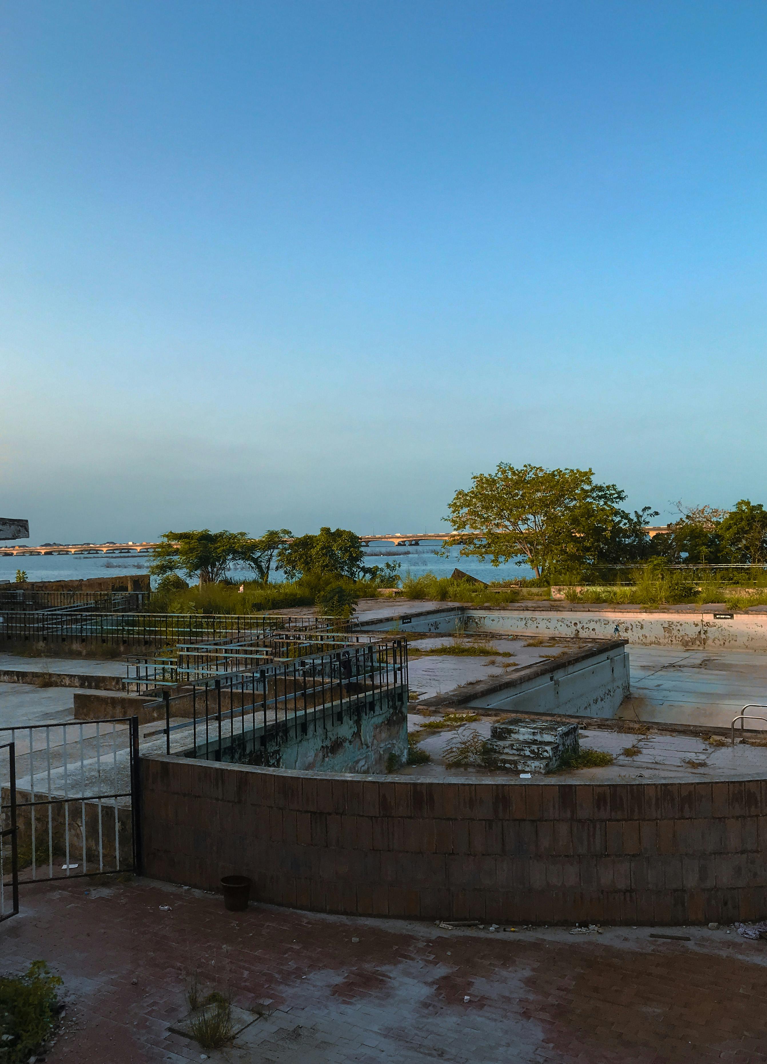 Damilare Adeyemi - 사진