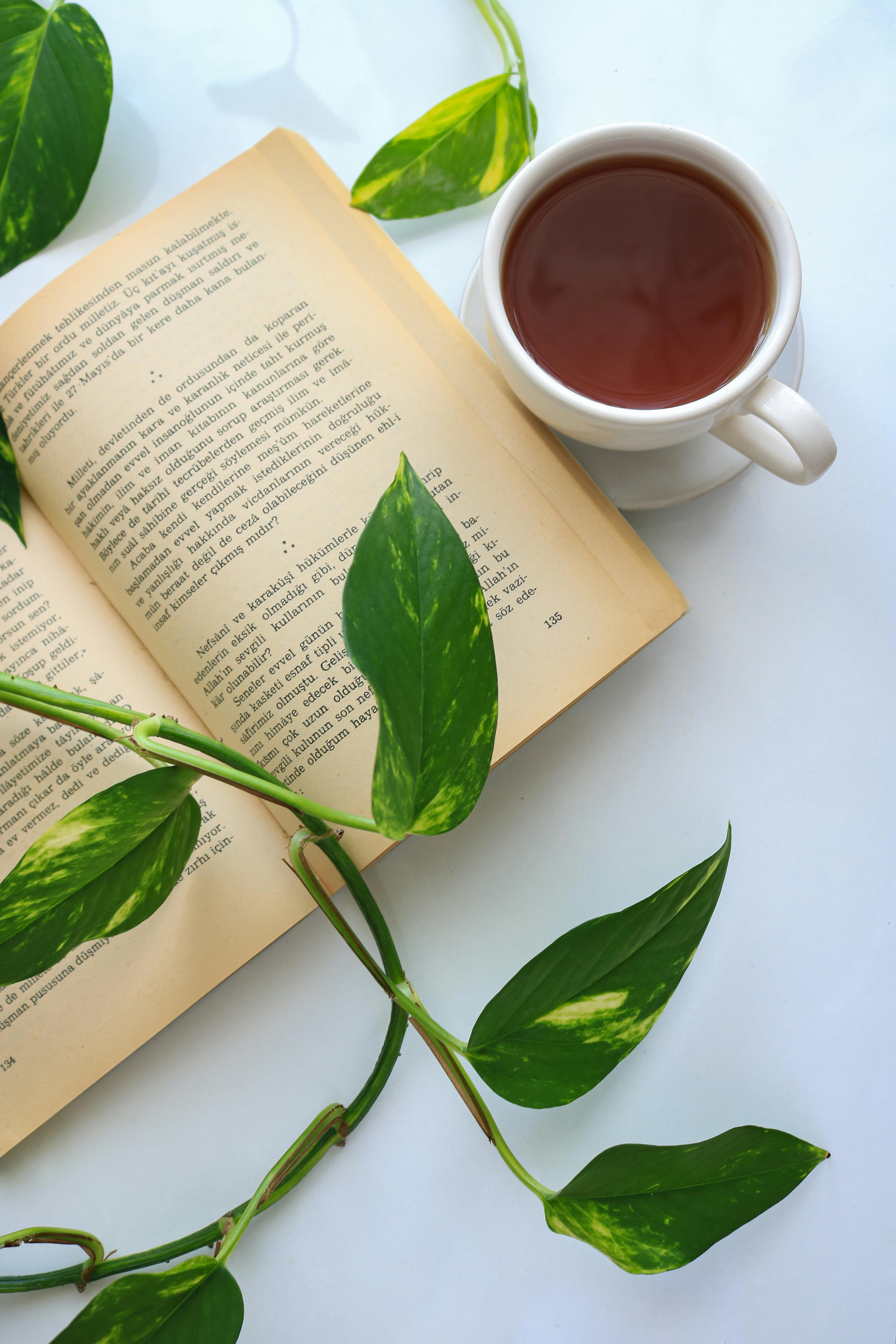 Paper Tea Background Photos, Download The BEST Free Paper Tea ...