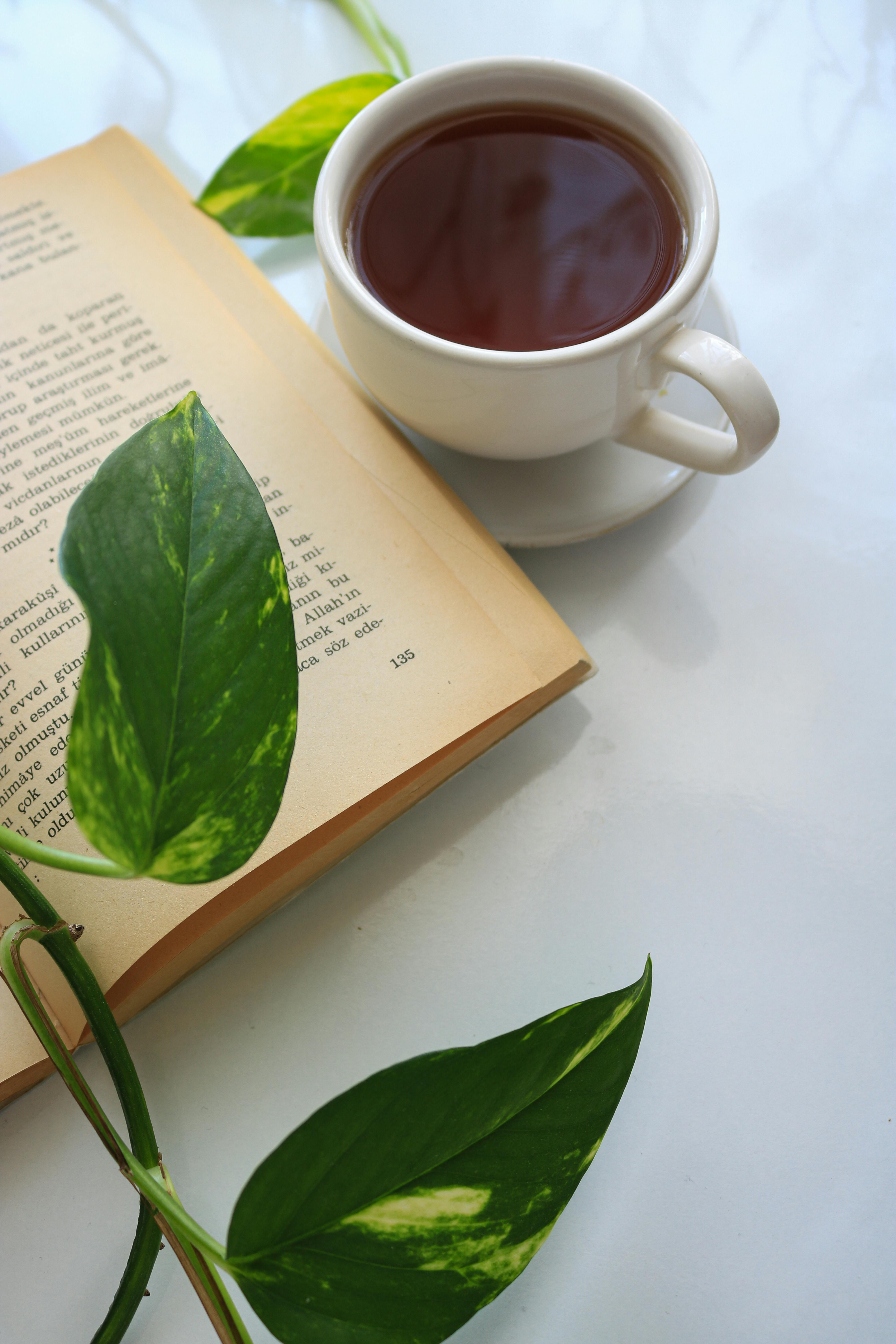 Still Life with Book and Tea · Free Stock Photo