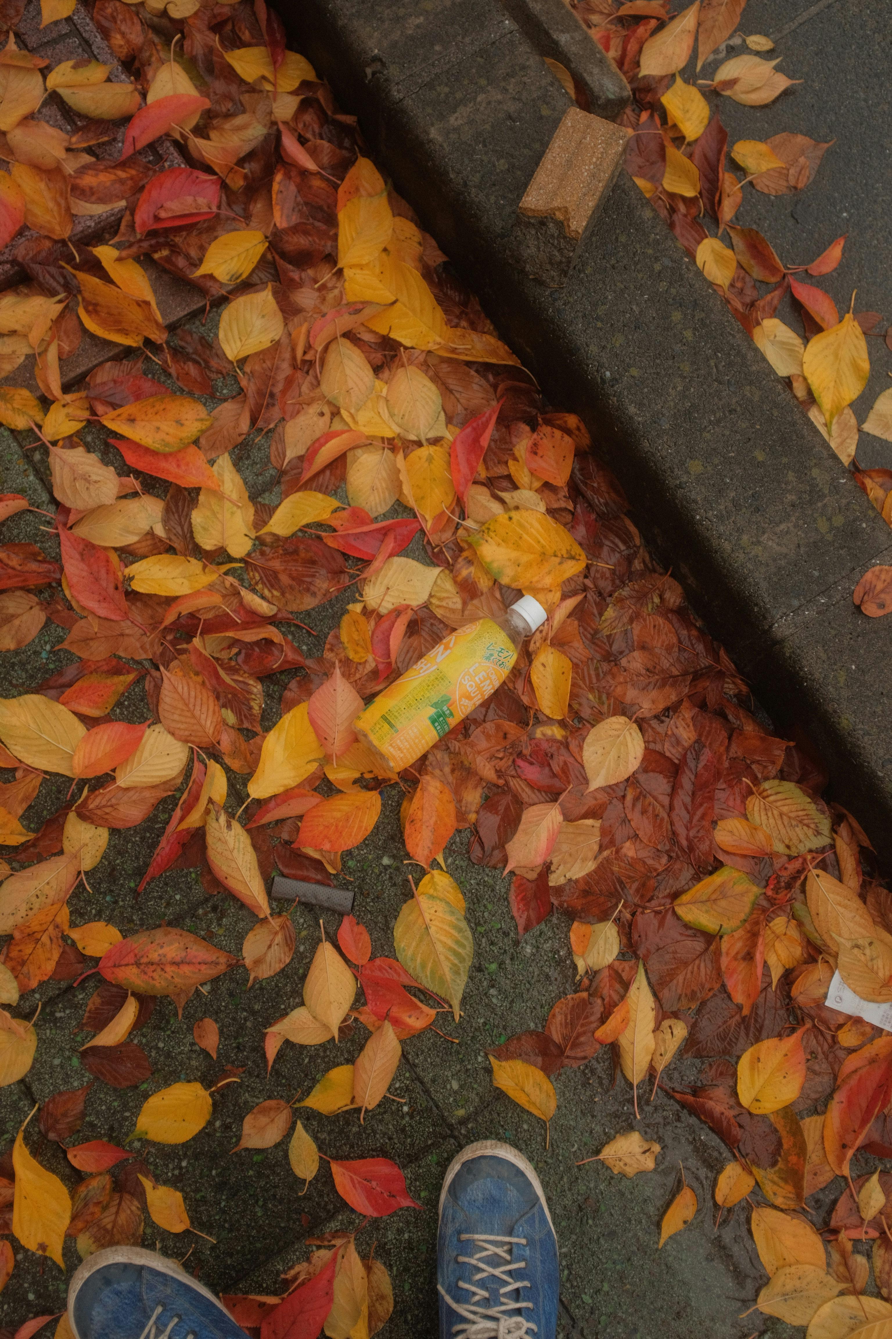 Street Trash Before And After Photos, Download The BEST Free Street ...